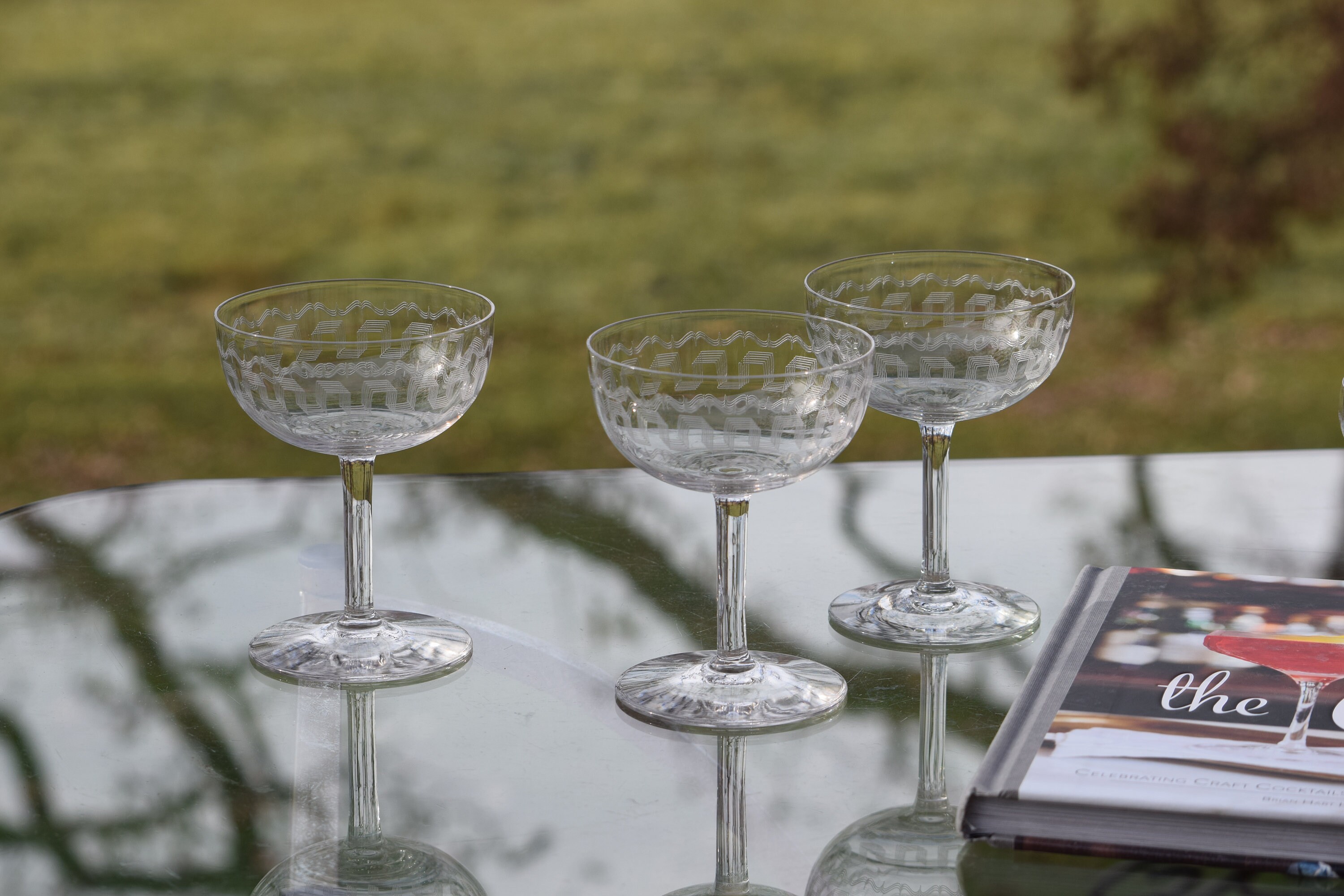 Vintage Needle Etched CRYSTAL Cocktail Glasses, Set of 6, Fostoria ...