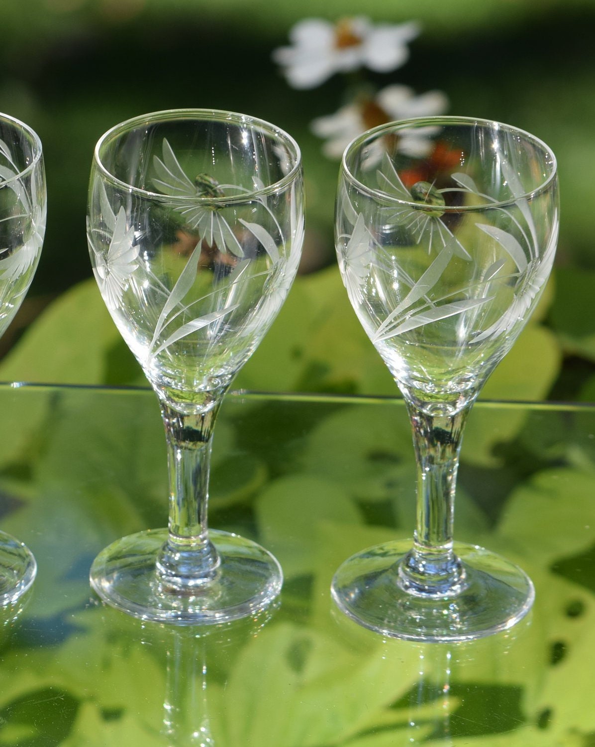 Vintage Etched Wine Cordial Glasses Set Of 4 Wine Tasting Party