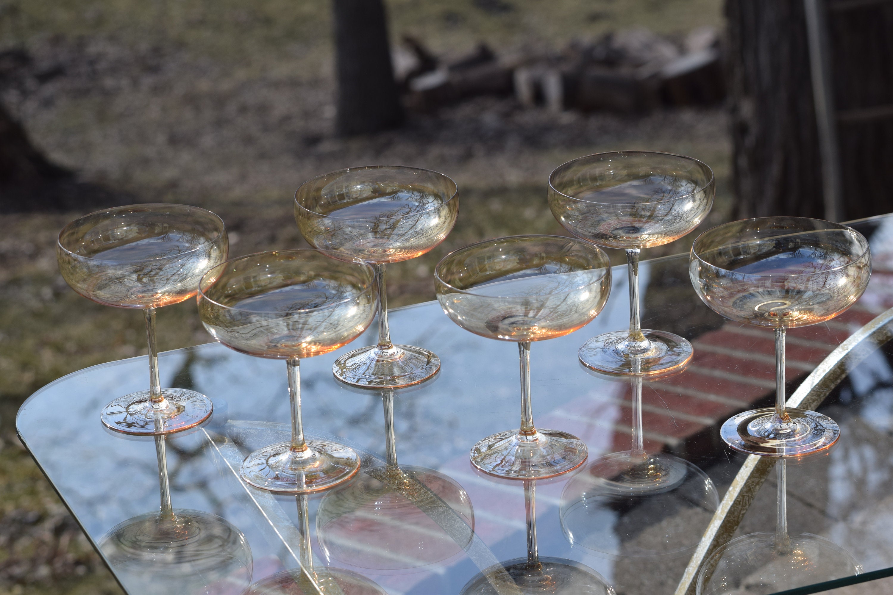 Vintage Light Amber Champagne Coupe Glasses, Set of 6, Vintage ...