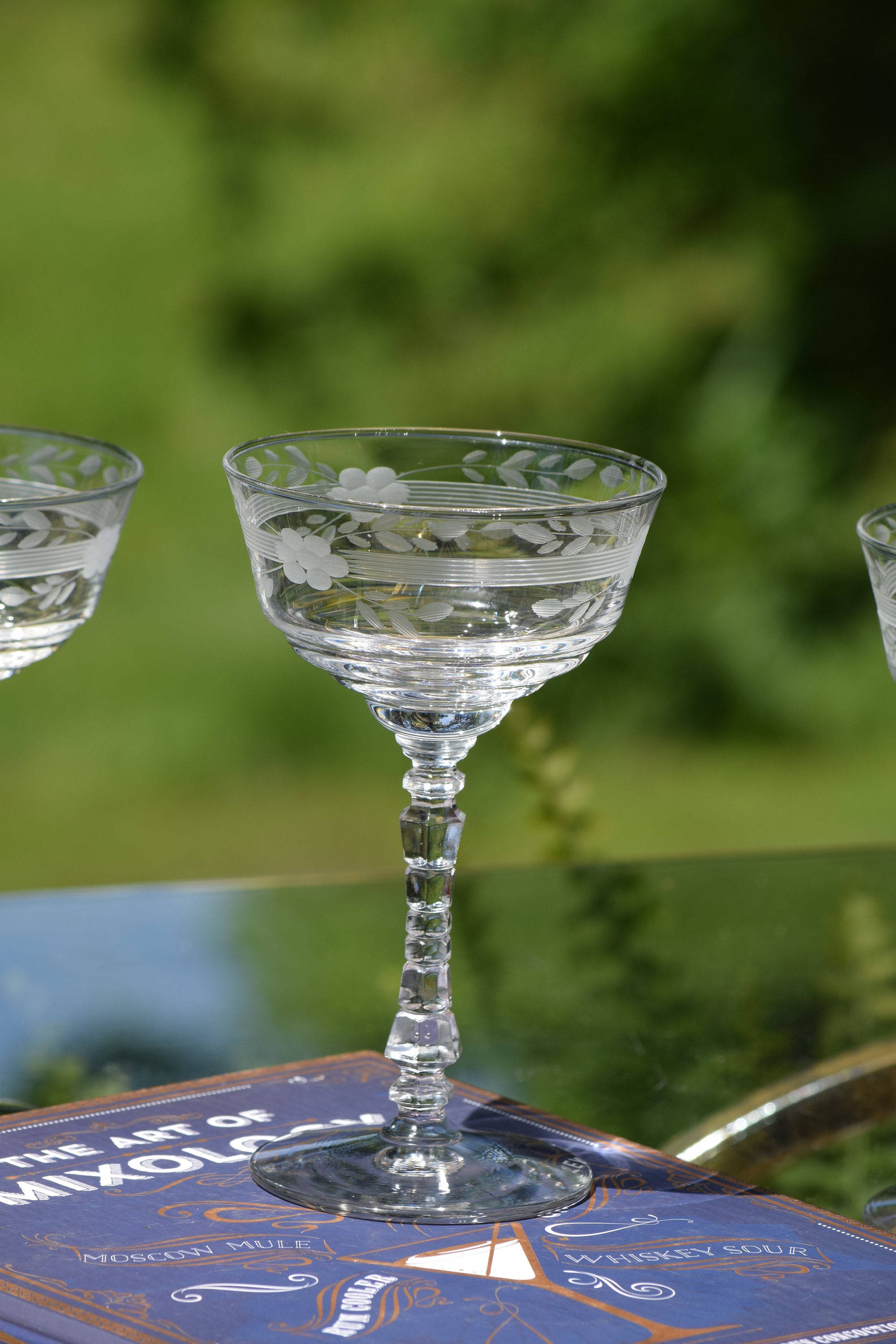 Vintage Etched Cocktail Glasses Set Of 6 Cocktail Party Glasses Unique Etched Martini Glasses