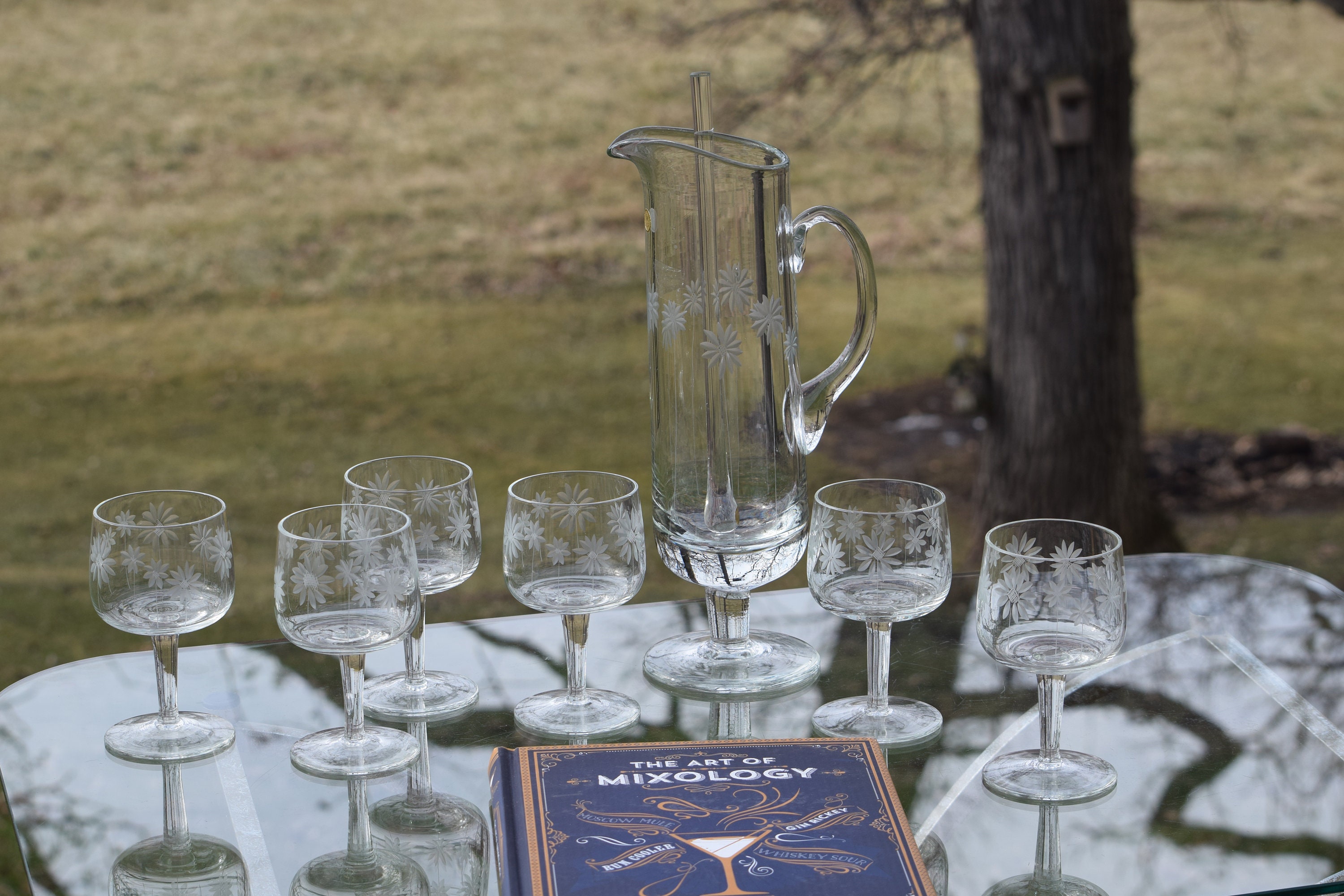 Vintage Etched Tall Cocktail Pitcher with 6 cocktail glasses, Vintage ...