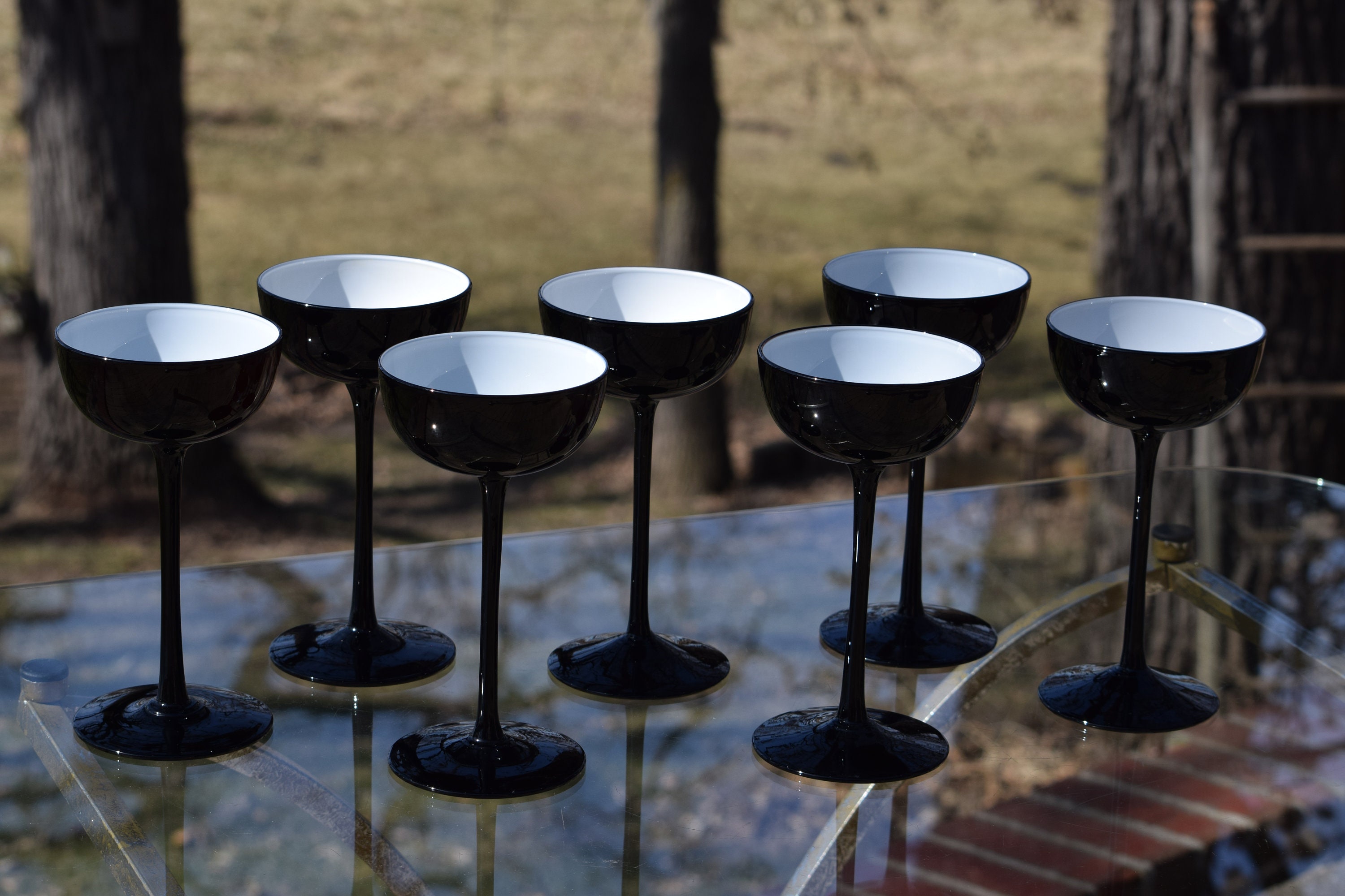 Vintage Black & White Champagne - Cocktail Glasses, Set of 7, Carlo ...
