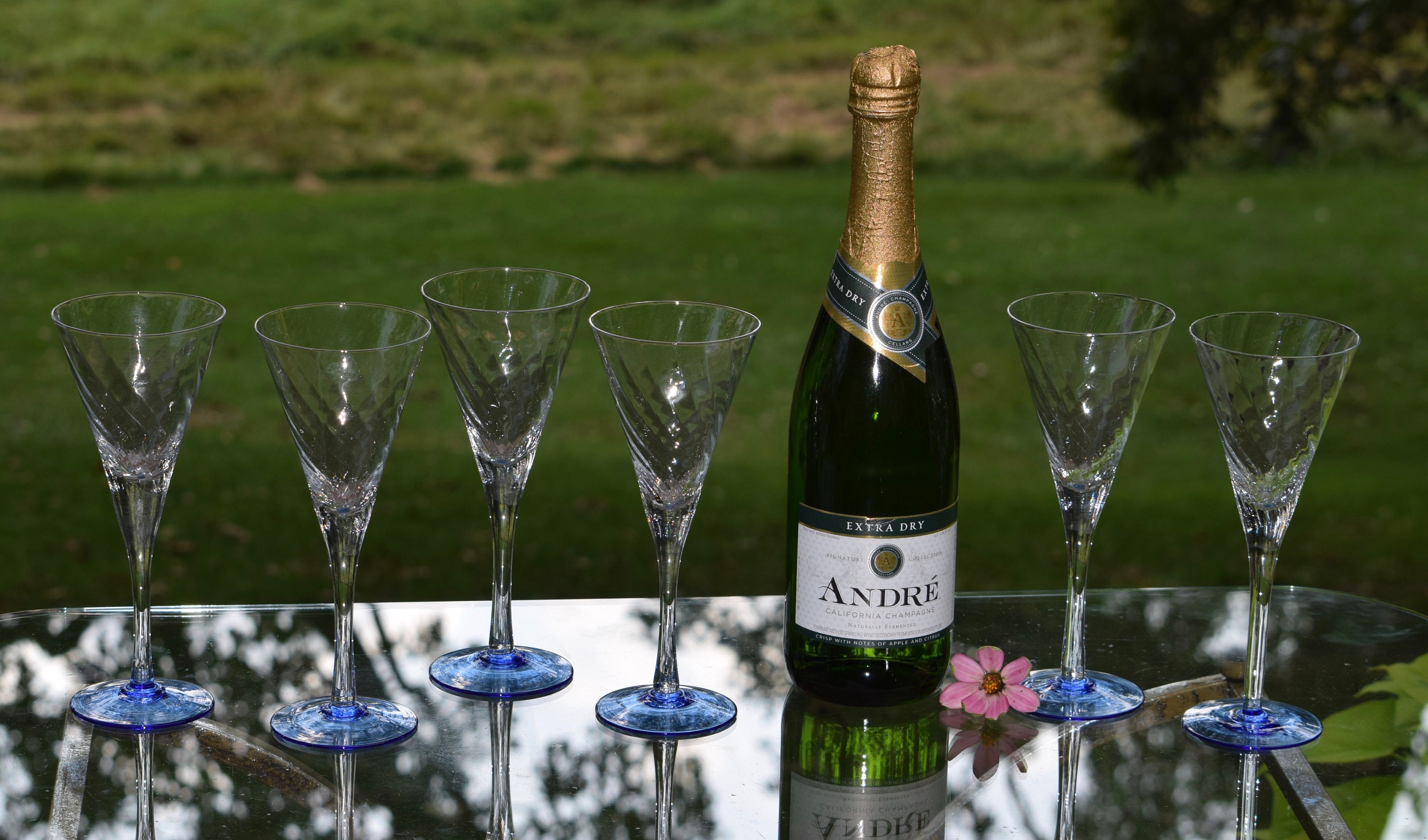 Vintage Fluted Champagne Glasses Set Of 6 Mixologists Craft Cocktail Glasses Vintage Optic