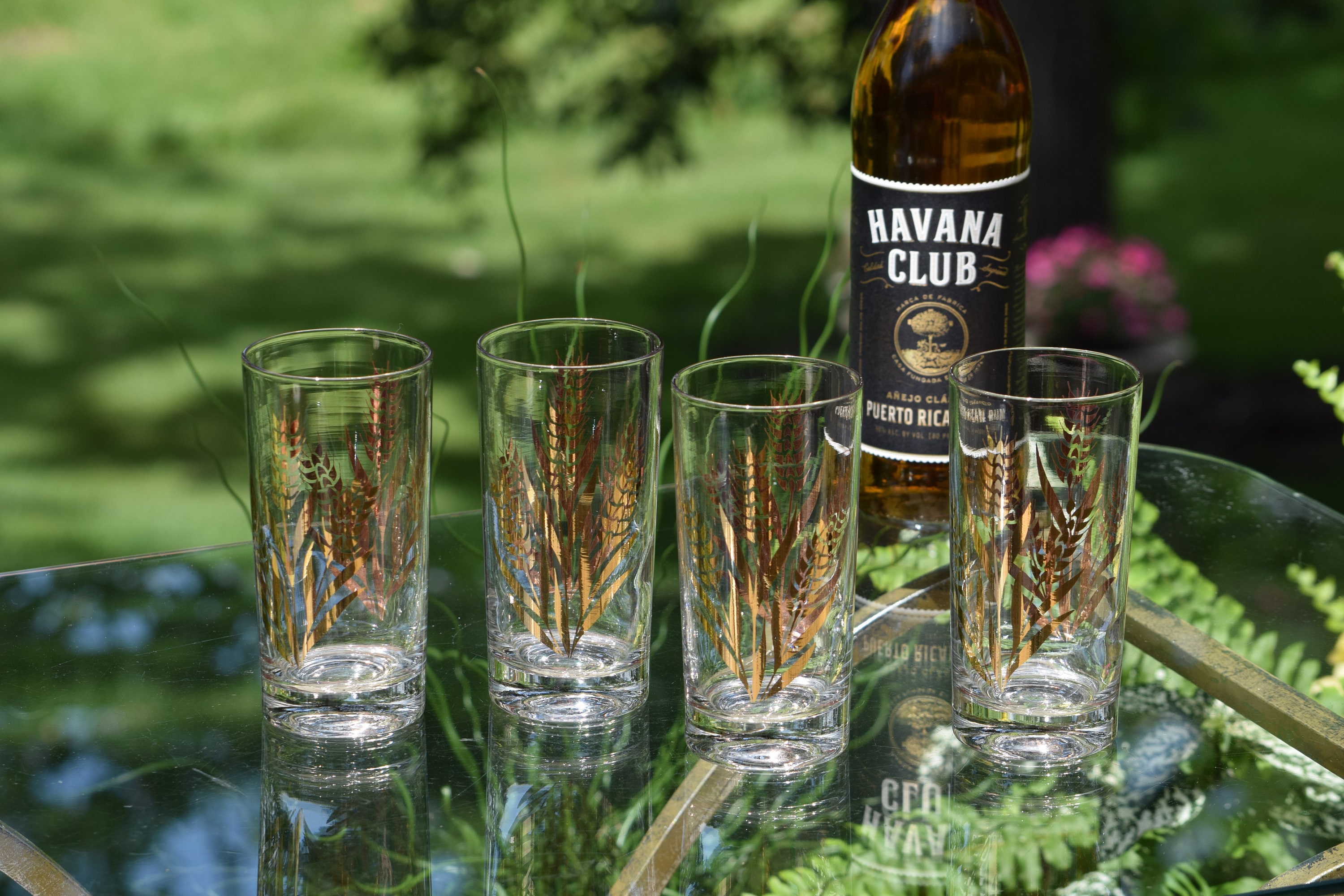 Vintage Gold Wheat Designs Cocktail - Highball Glasses, Set of 4 ...
