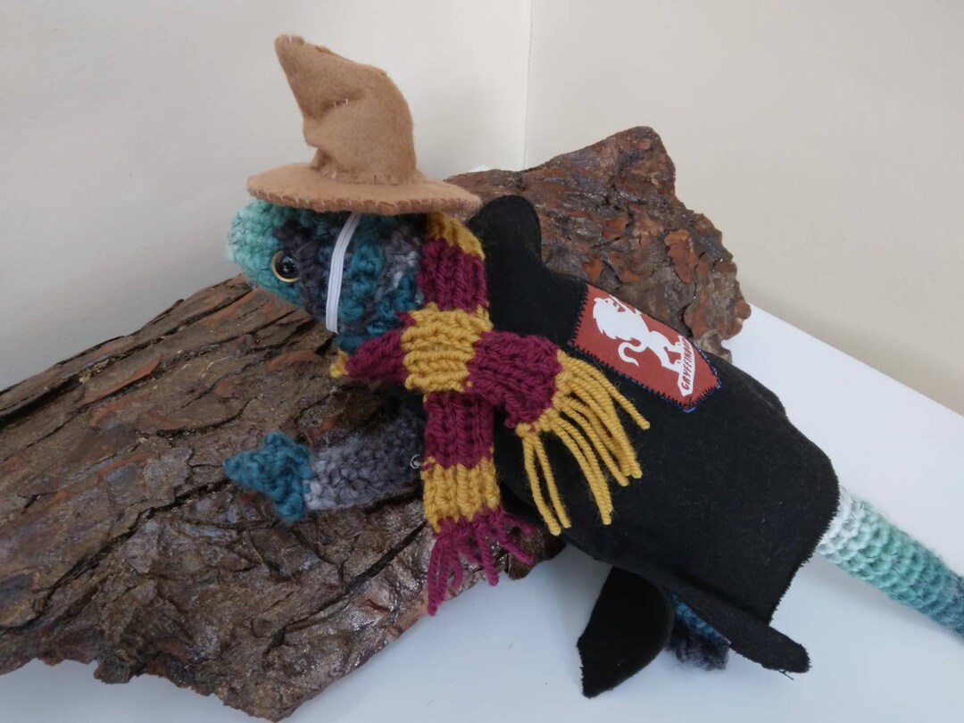 Christmas Fancy Dress, Wizard Choosing House Set Bearded Dragon Clothes ...