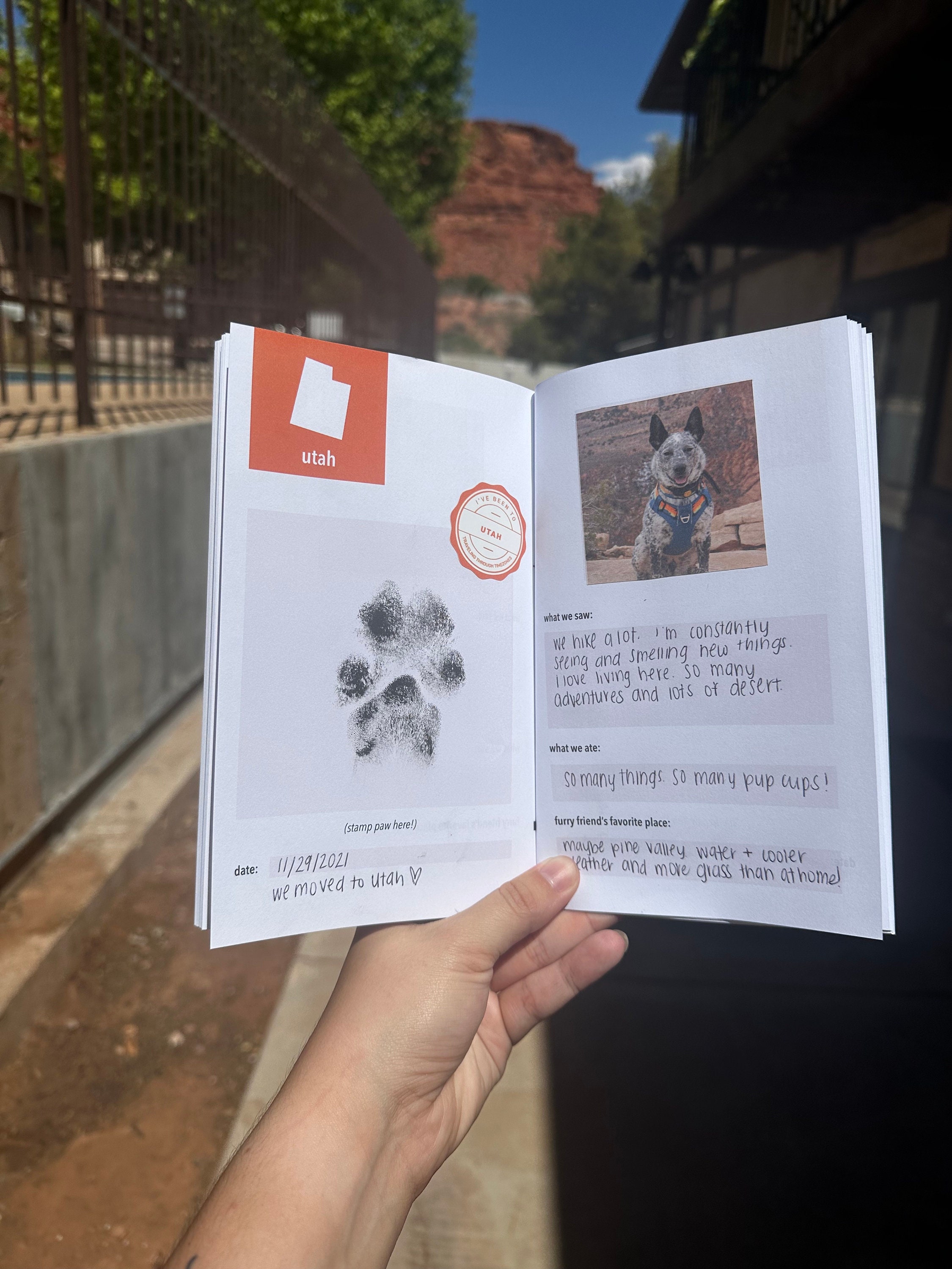 Pawport: My Furry Friends Pet Passport - Etsy