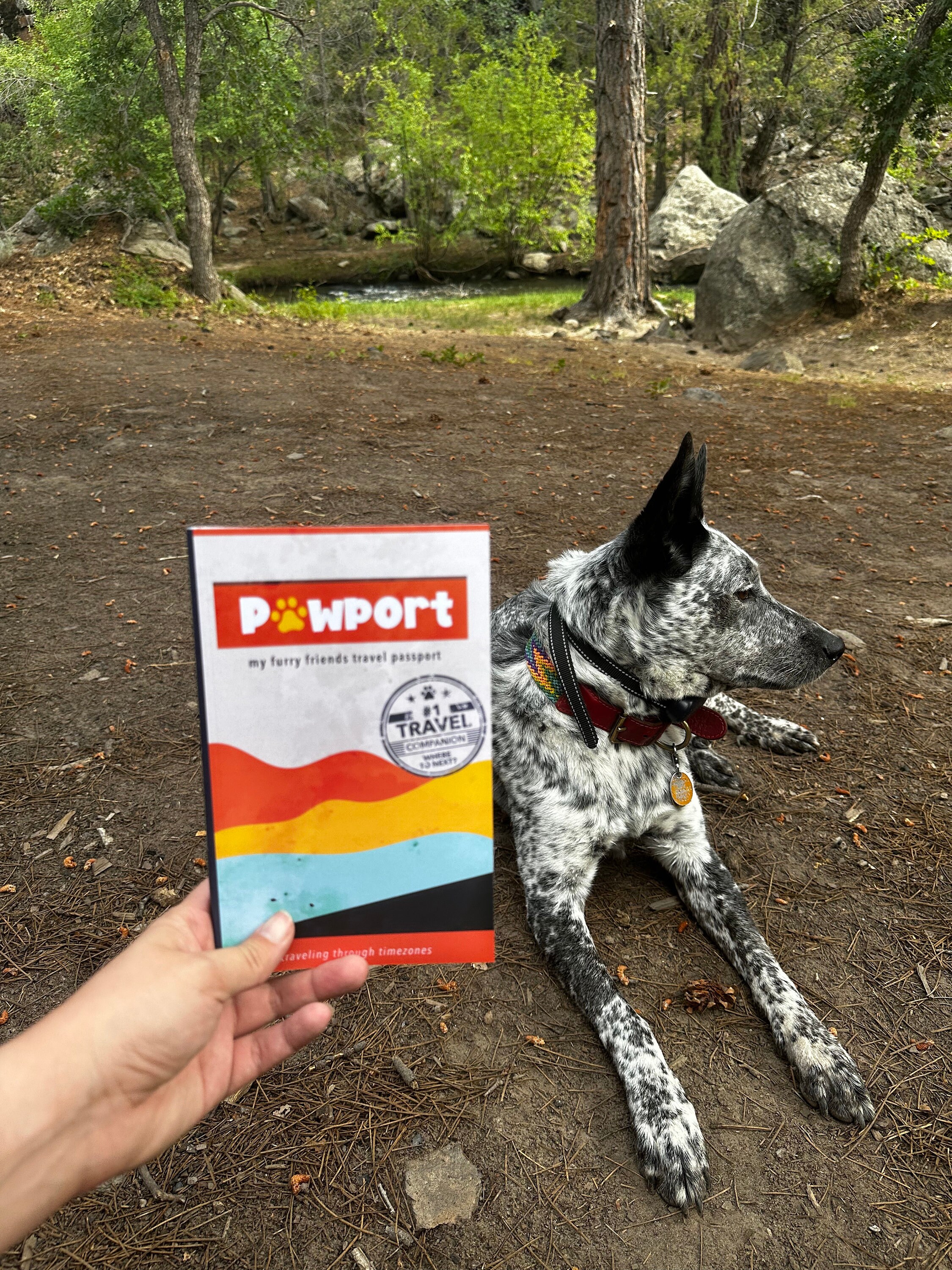 Pawport: My Furry Friends Pet Passport - Etsy