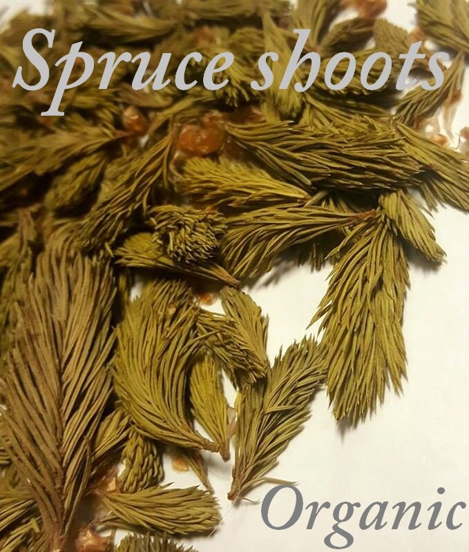 Spruce shoots. Dried. Organic herbal tea 40g | Etsy
