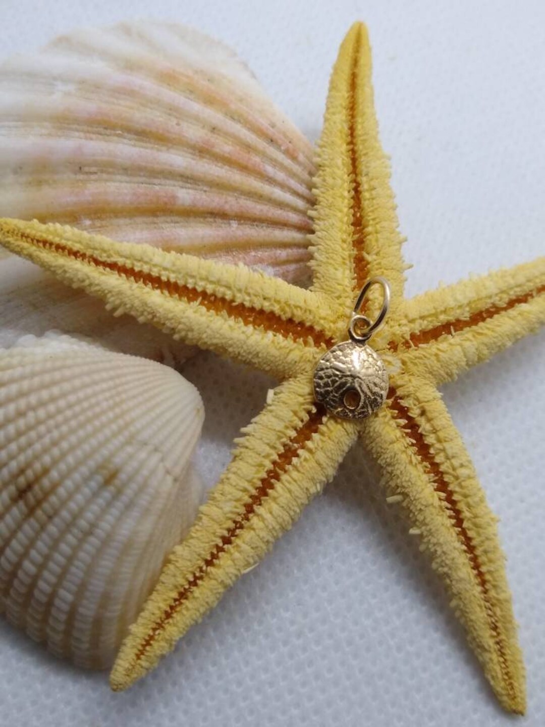 14K Mini Sand Dollar in Yellow Gold Charm Pendant Sea Life Nautical ...