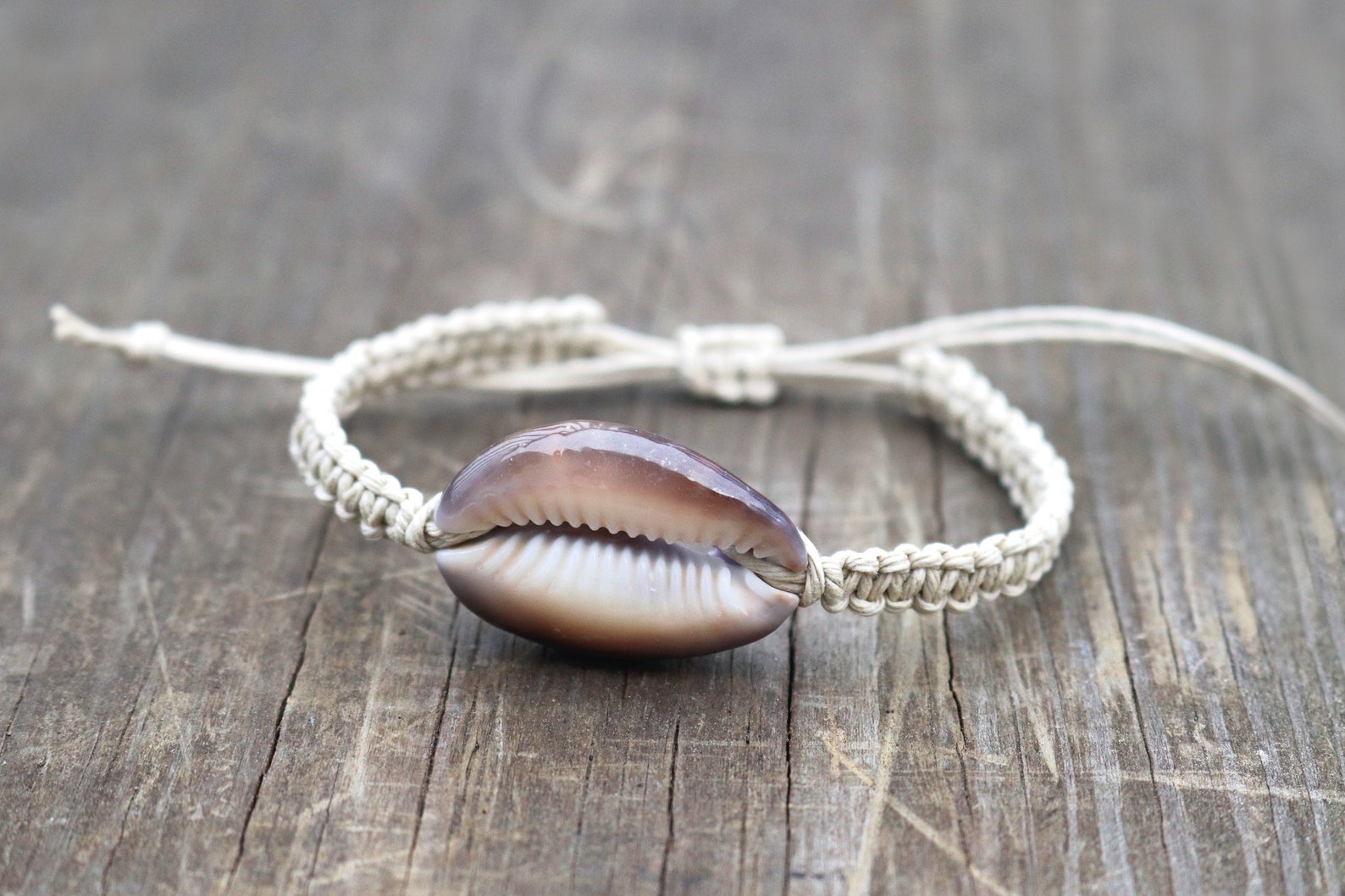 Cowrie Shell Bracelet / Large Cowry Bracelet / Ocean Bracelet | Etsy