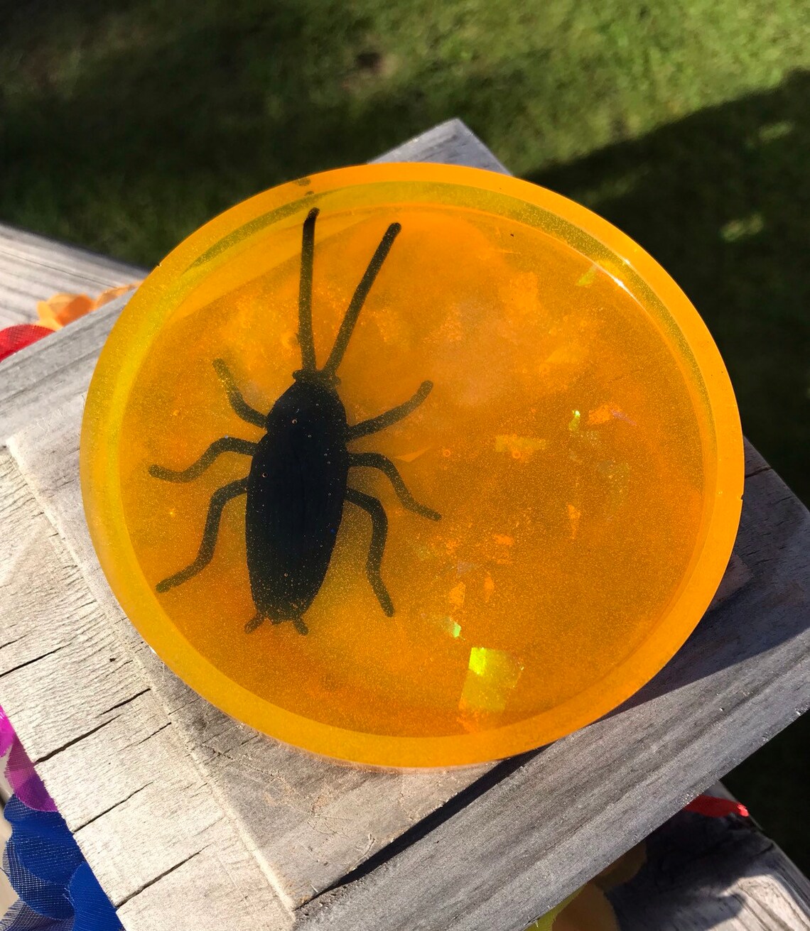 Insect Coaster in Amber Bug in Amber Jurassic Park Coaster - Etsy