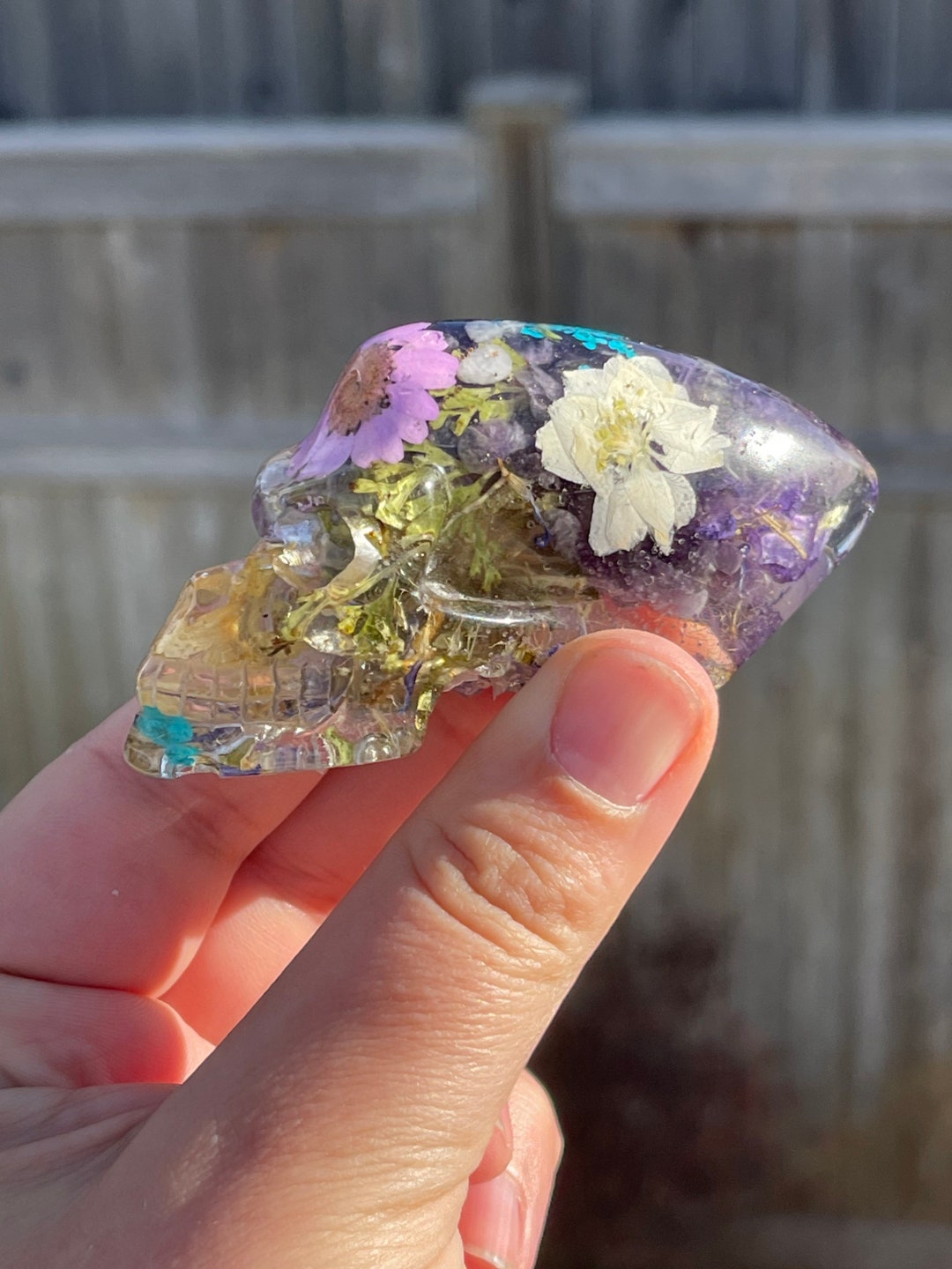 Botanical Energy Alien Skull Elongated Crystal Alien Head Star Being ...