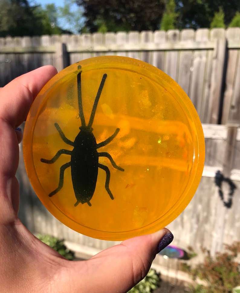 Insect Coaster in Amber Bug in Amber Jurassic Park Coaster - Etsy