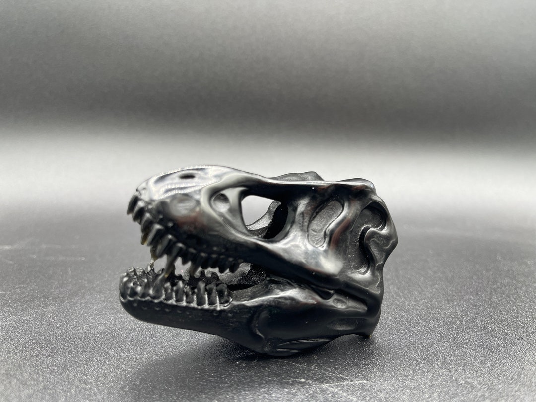 Obsidian Tyrannosaurus Rex Skull Healing Crystal USA Seller 1010 - Etsy