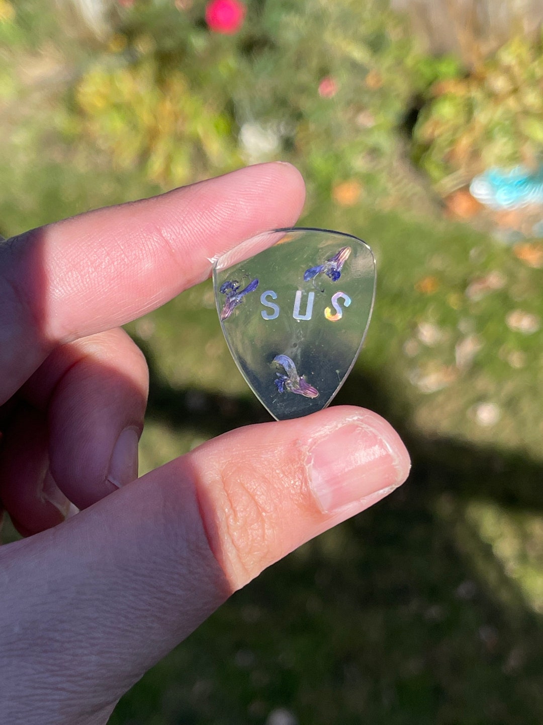 Sus Guitar Pick B Grade Real Tiny Pressed Flowers - Etsy