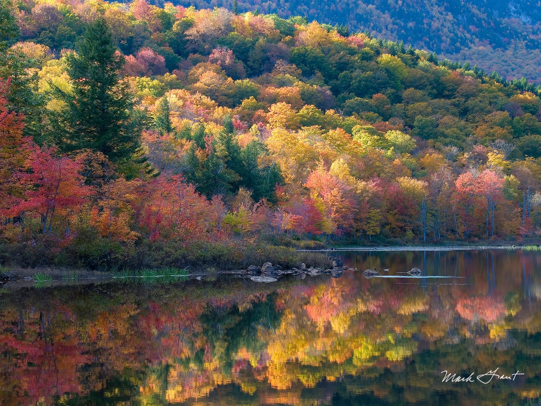 Hey Look Over Here Fine Art Landscape Photograph of - Etsy