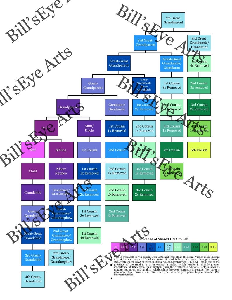 Cousin Chart for Use With Genealogy and Family History. One Download ...