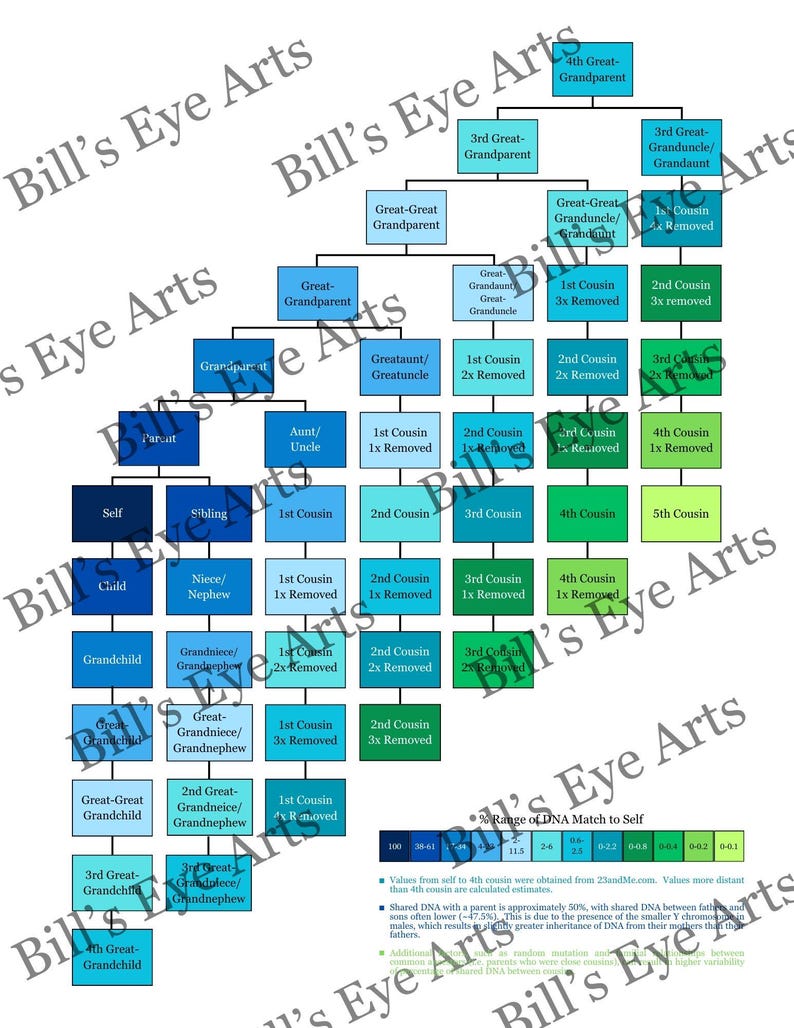 Cousin Chart for Use With Genealogy and Family History. One Download ...