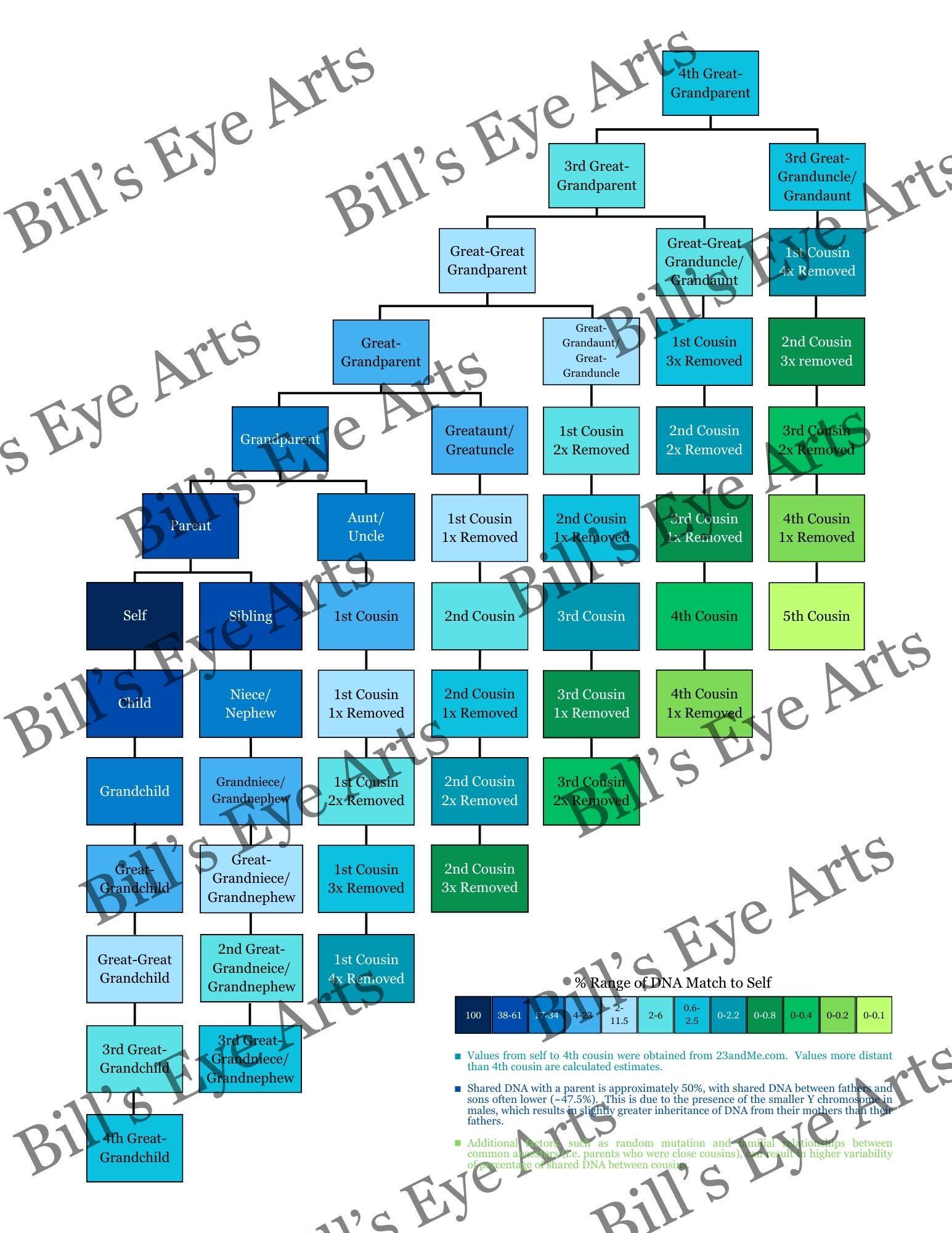 Cousin Chart for Use With Genealogy and Family History. One Download ...