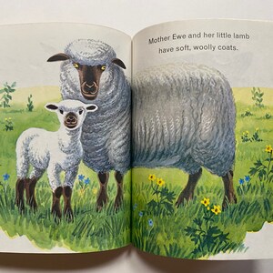 Animals on the Farm Kids Little Golden Book Children Kids Reading ...