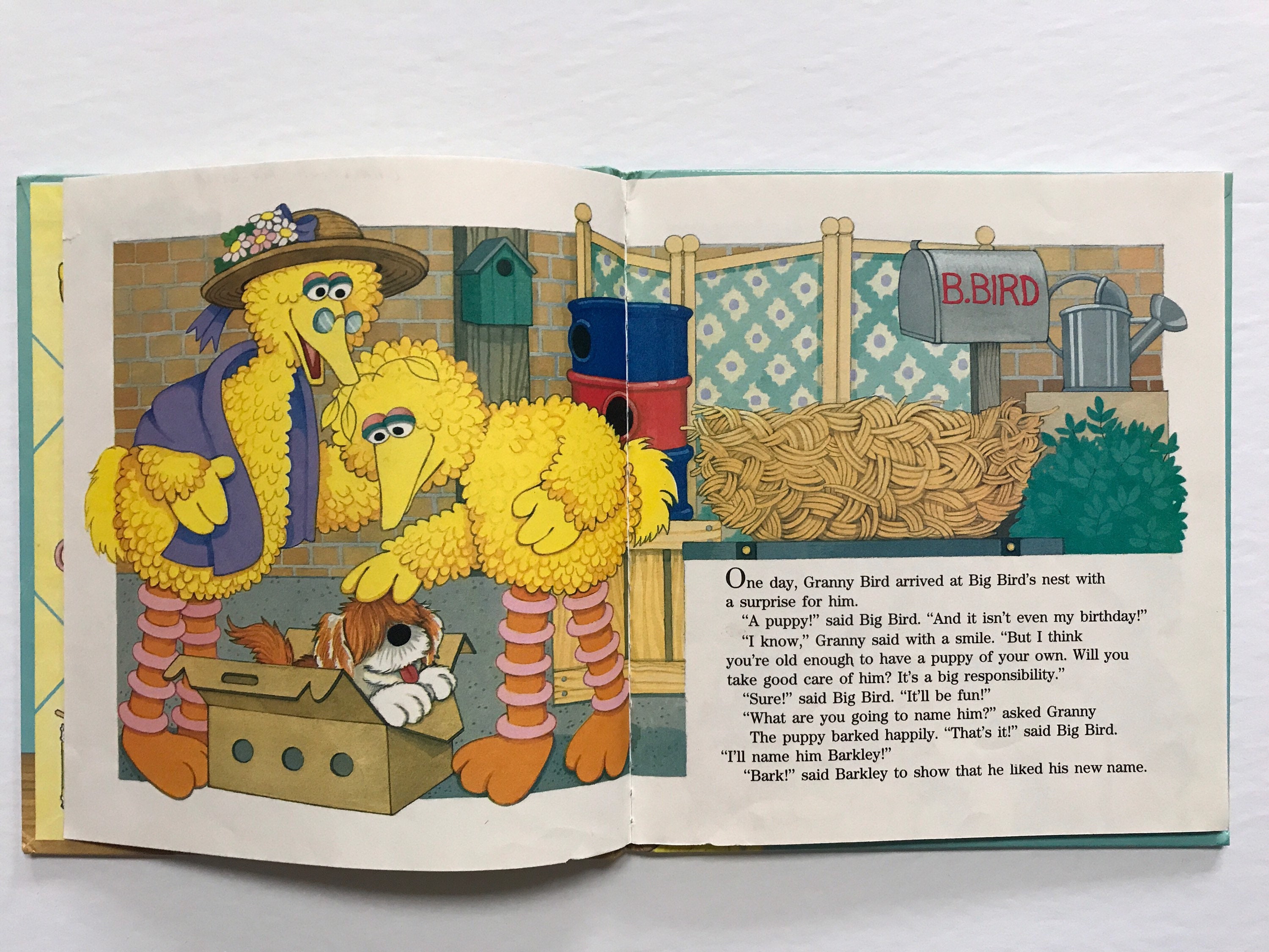 1986 A Birds Best Friend Hard Cover Story Reading Sesame Street Jim ...