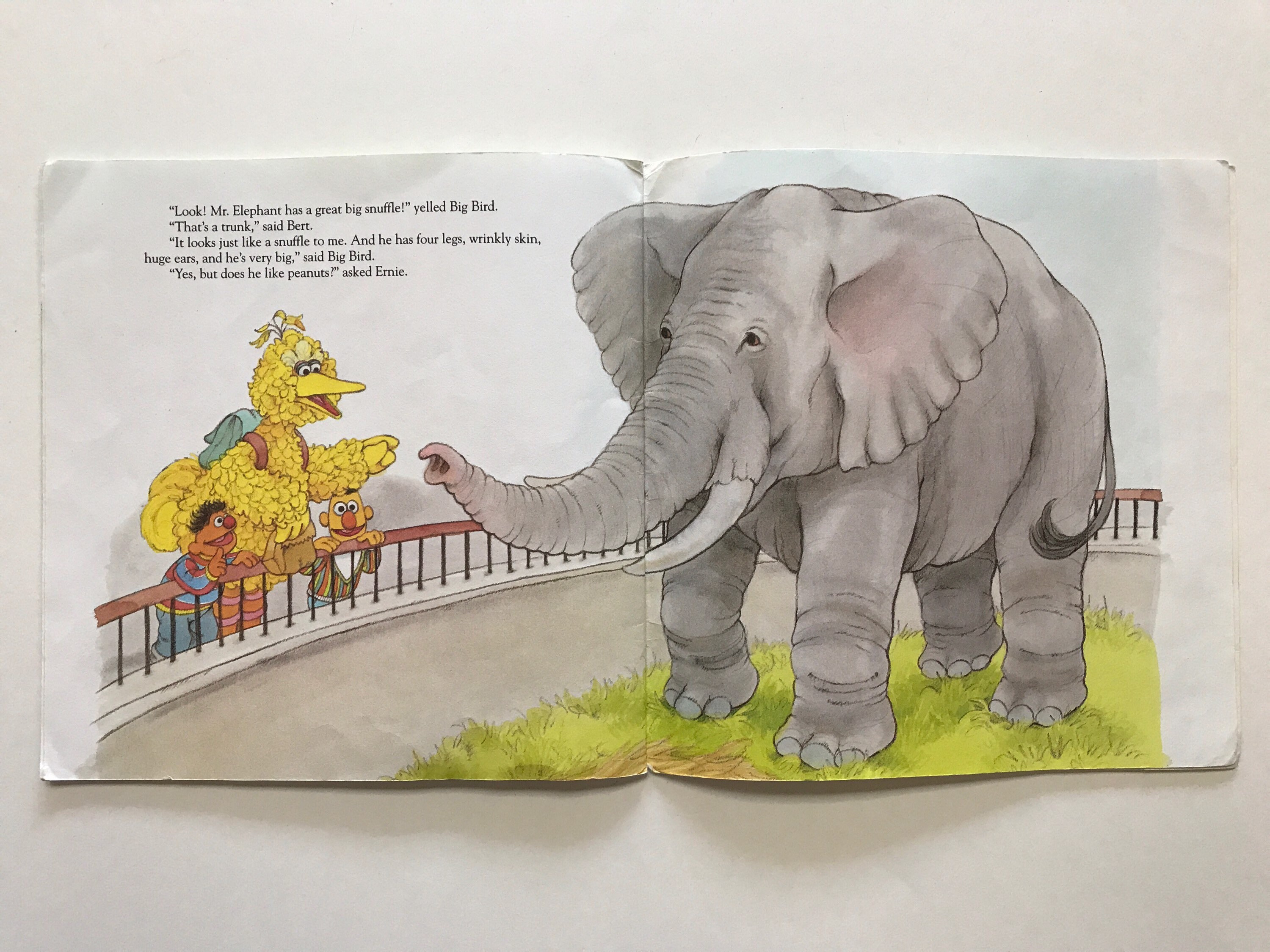 1987 Whos Who At the Zoo Soft Cover Story Reading Sesame | Etsy