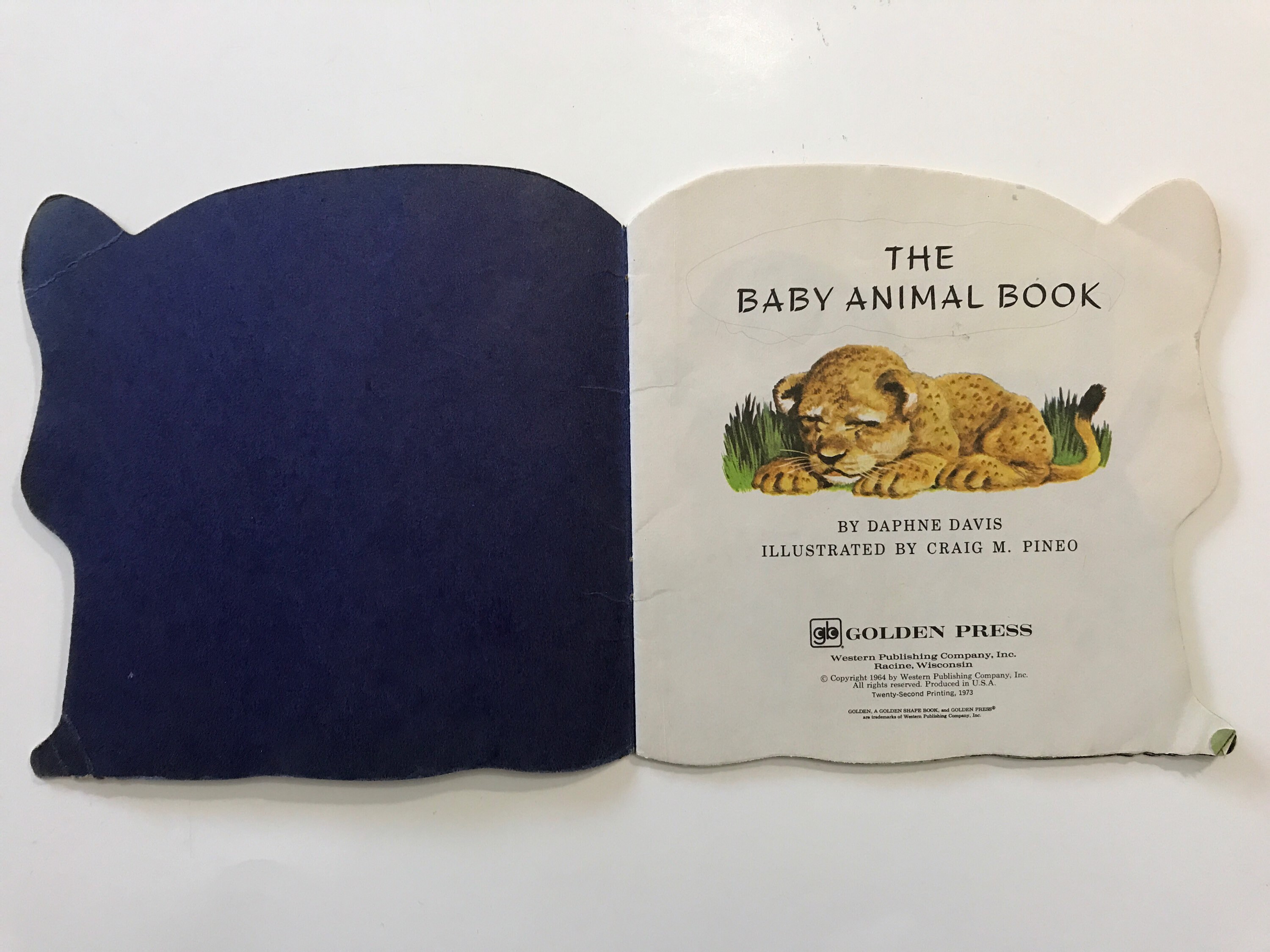 1964 the Baby Animal Book Little Golden Shape Book Kids Children ...
