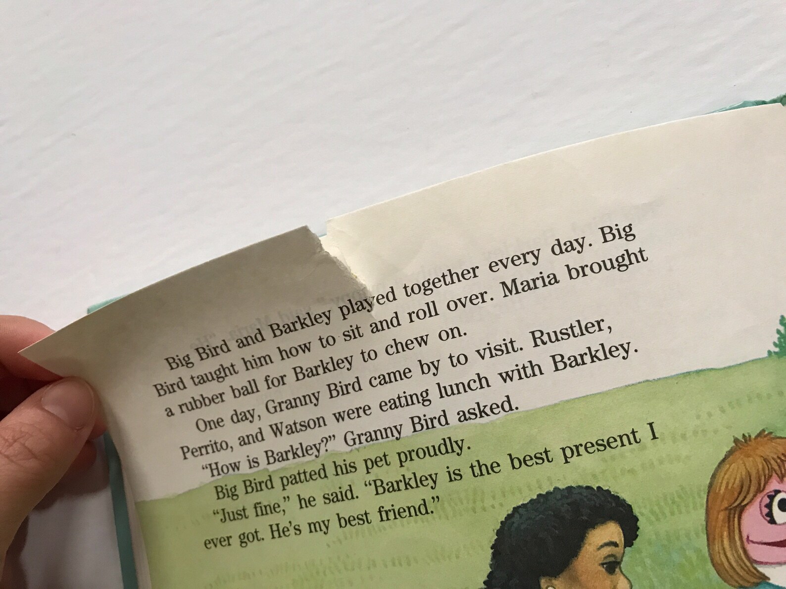 1986 A Birds Best Friend Hard Cover Story Reading Sesame - Etsy