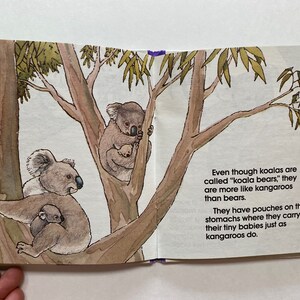 1988 All About Koalas World Wildlife Fund Book From Wendys 80s WWF ...
