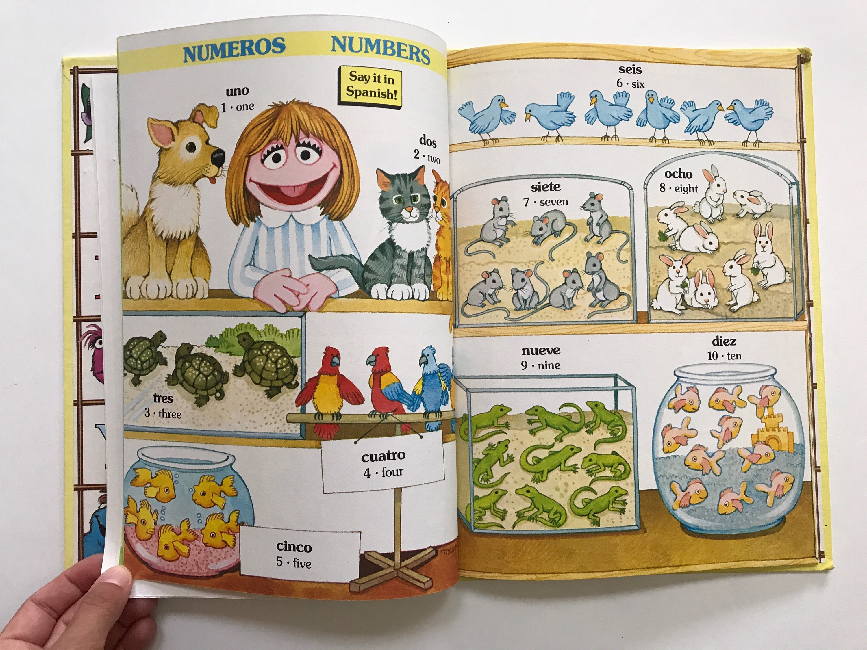 1983 The Sesame Street Treasury Book 5 Muppets Jim Henson Kids | Etsy