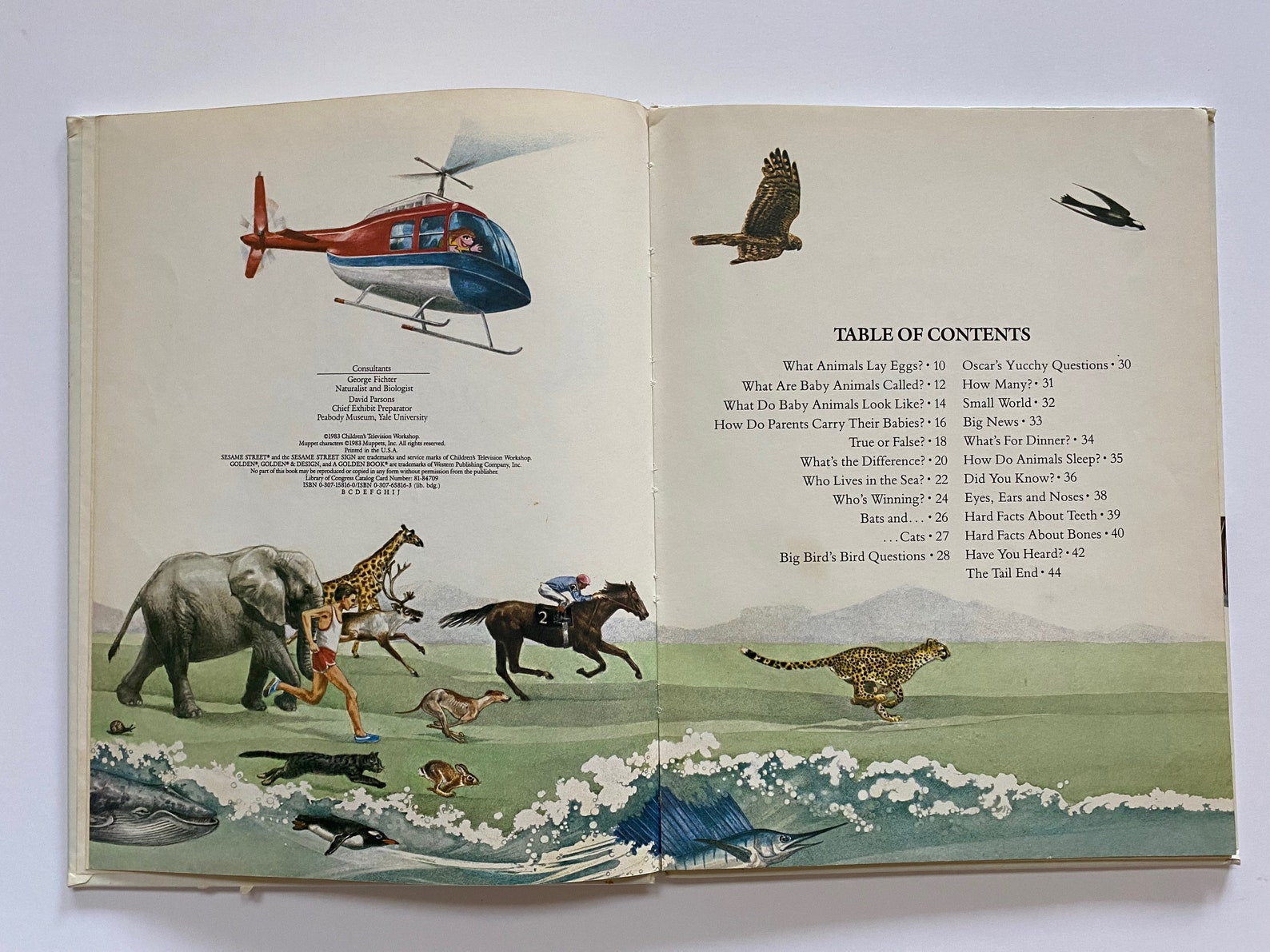 1983 Sesame Street Question and Answer Book About Animals Kids ...