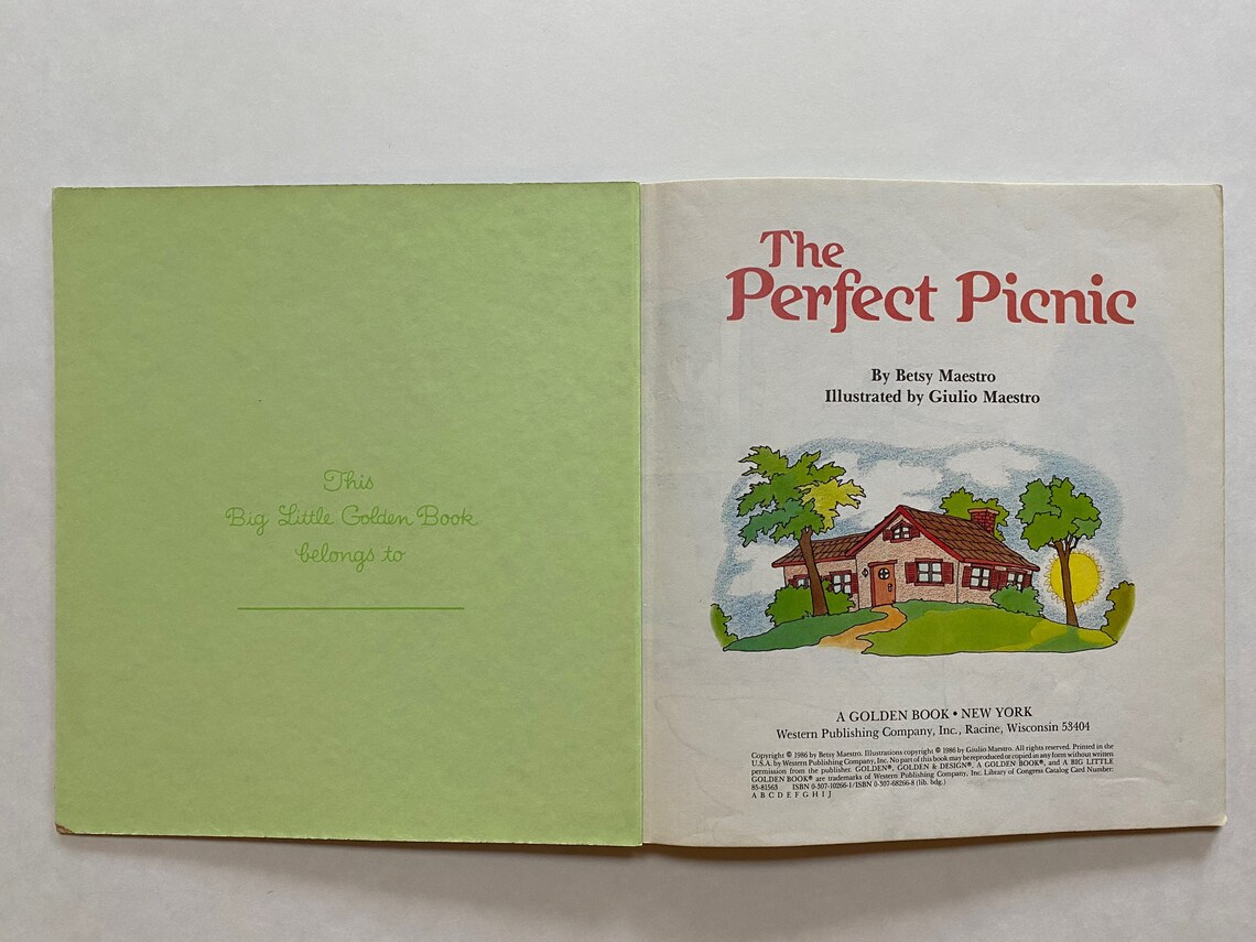 1986 the Perfect Picnic Hardcover Story Book for Kids - A Big Little ...