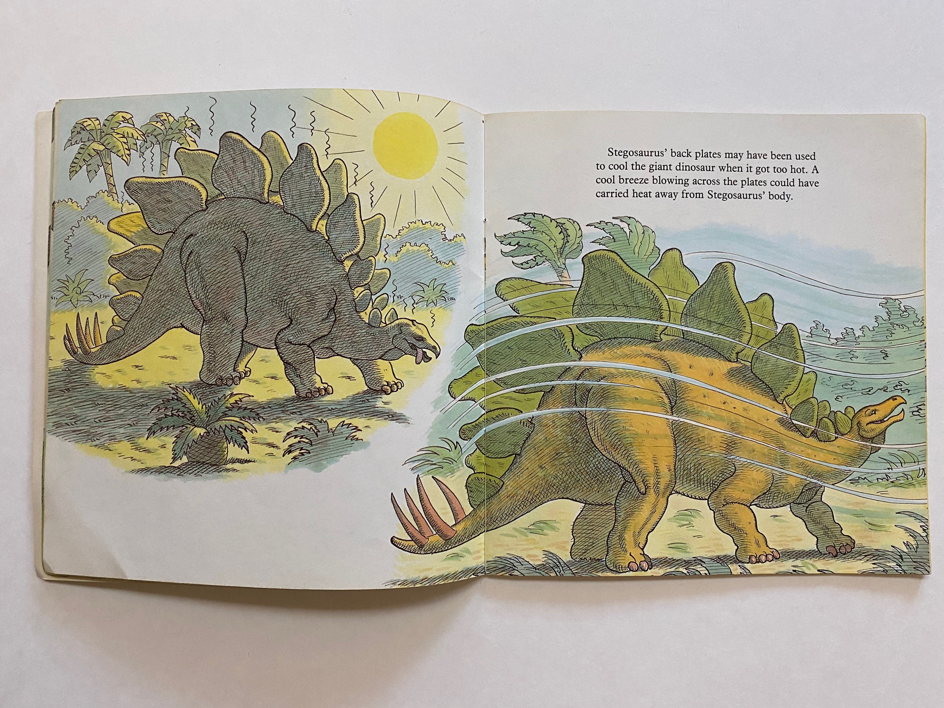 1989 I Love Dinosaurs the Spike Tailed Dinosaur Stegosaurus Golden Look ...