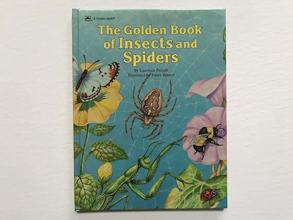 Insects And Spiders Book
