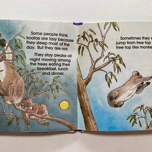 1988 All About Koalas World Wildlife Fund Book From Wendys 80s WWF ...