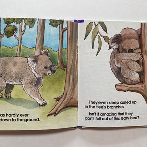 1988 All About Koalas World Wildlife Fund Book From Wendys 80s WWF ...