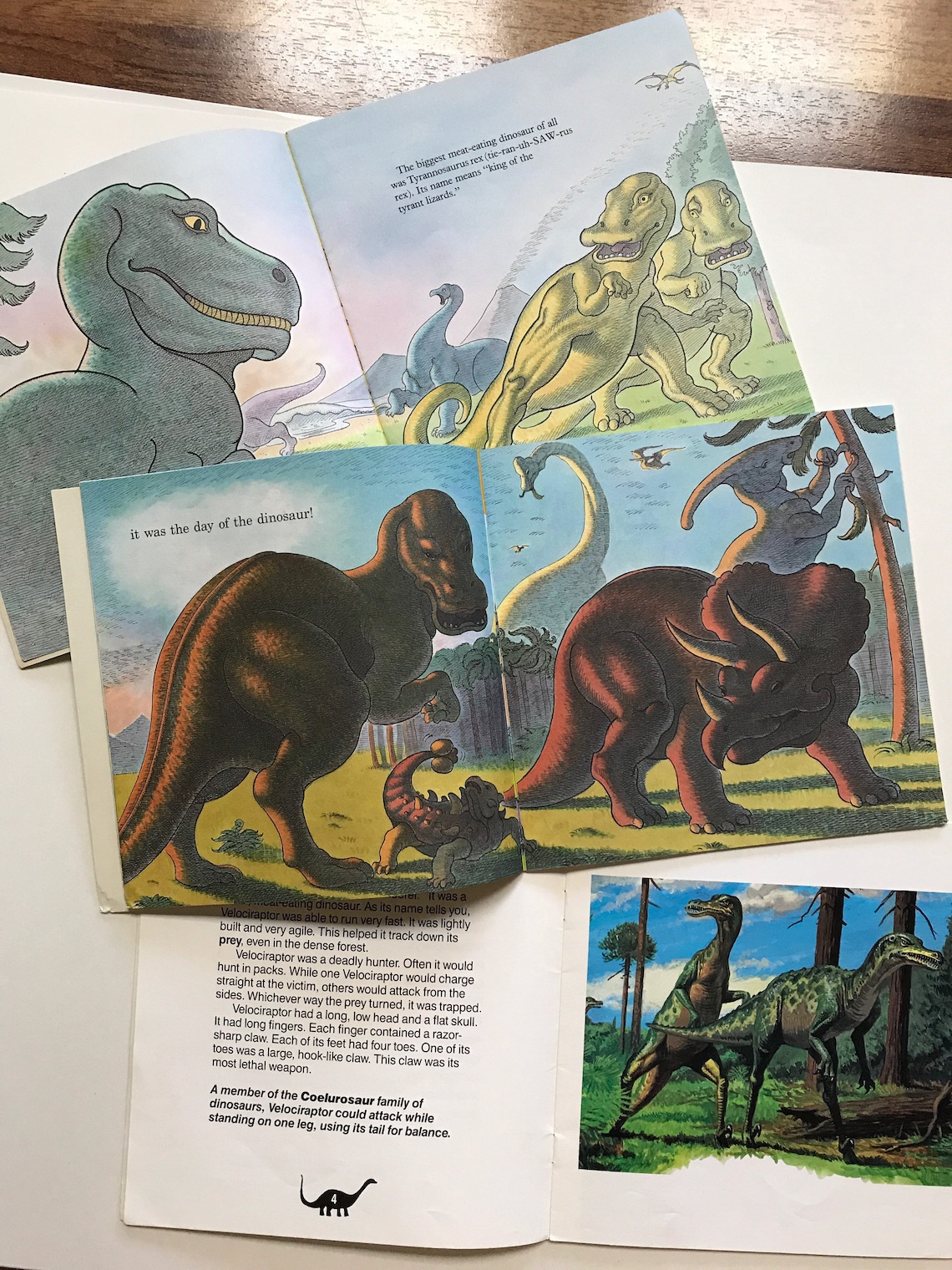 Vintage Dinosaur Books Golden Look Look Book for Kids Children - Etsy