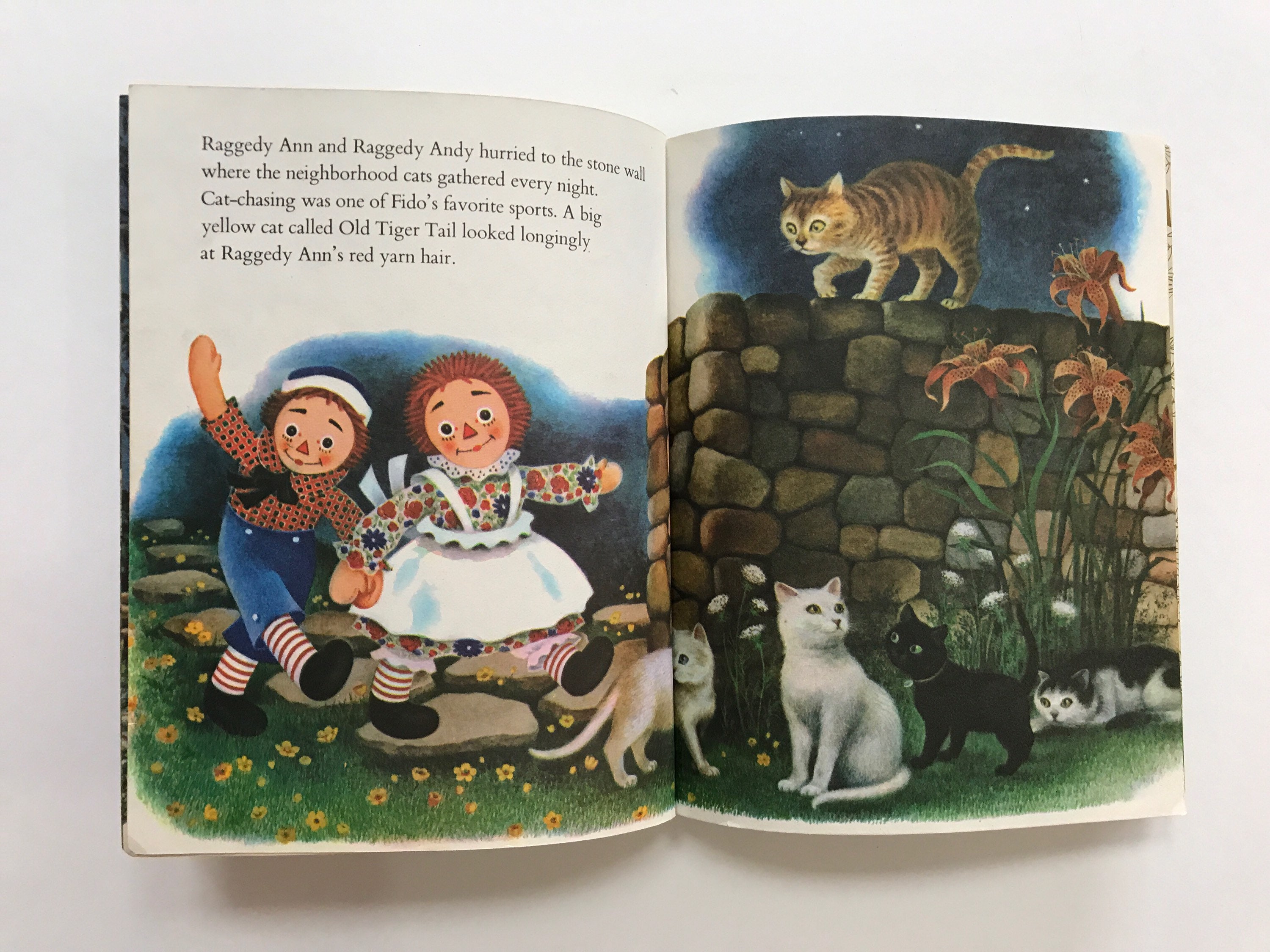 1976 Raggedy Ann and Fido Little Golden Book 70s Kids Hard Cover ...