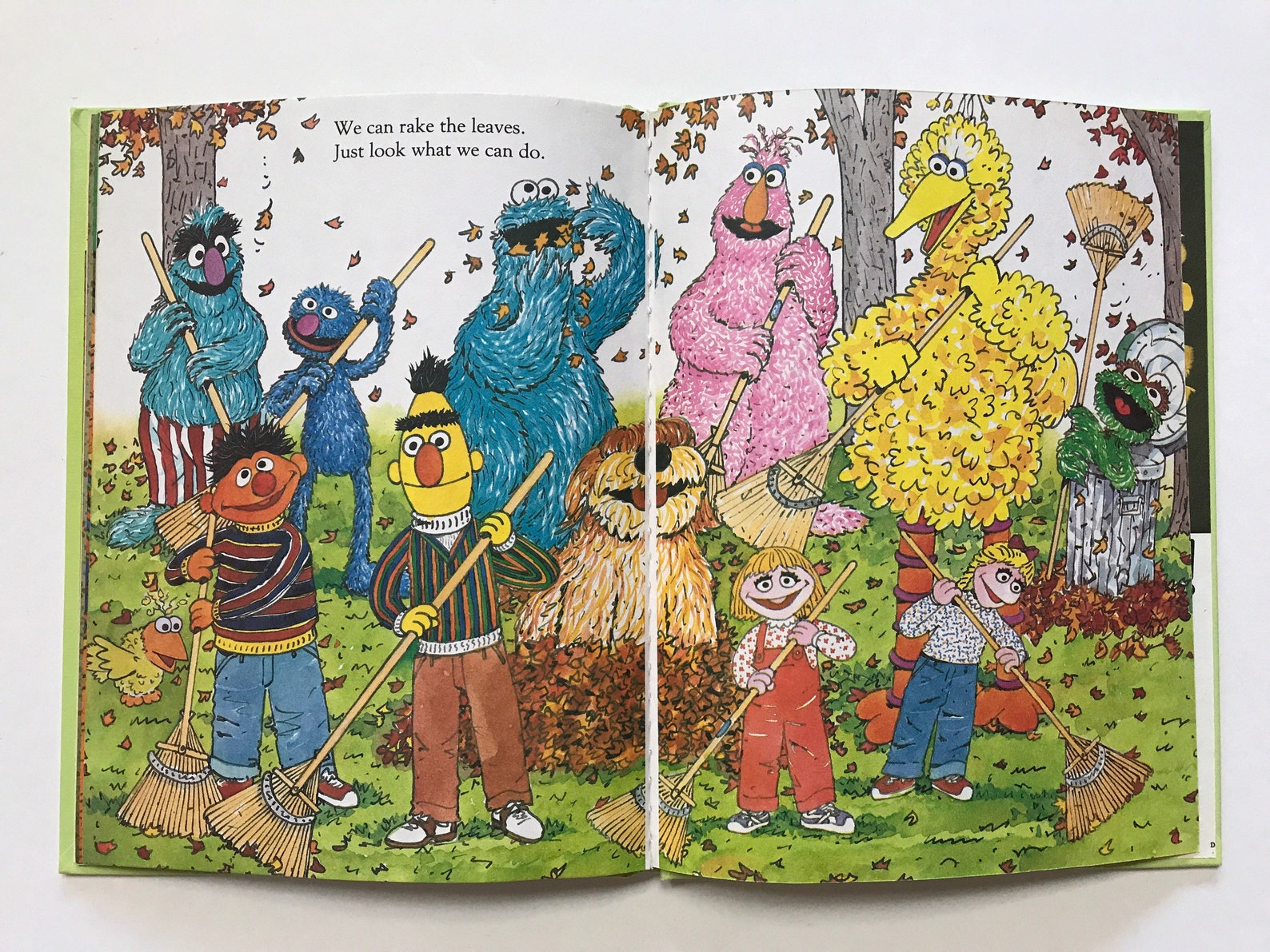 1985 Look What I Can Do the Sesame Street Book Club Book - Etsy