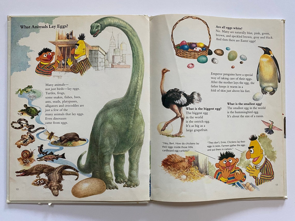 1983 Sesame Street Question and Answer Book About Animals Kids - Etsy