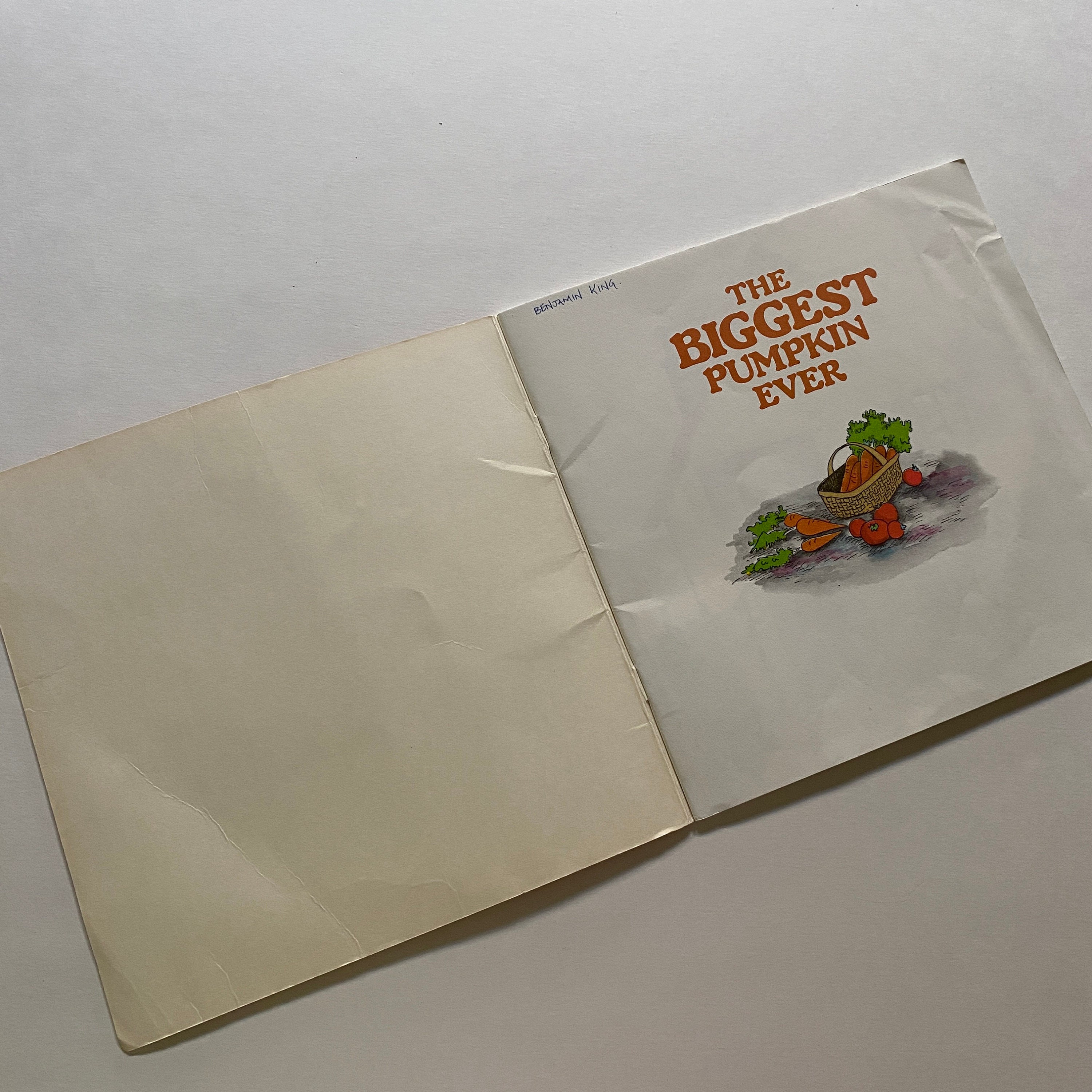 The Biggest Pumpkin Ever Kids Book by Steven Kroll 1984 Halloween Book ...
