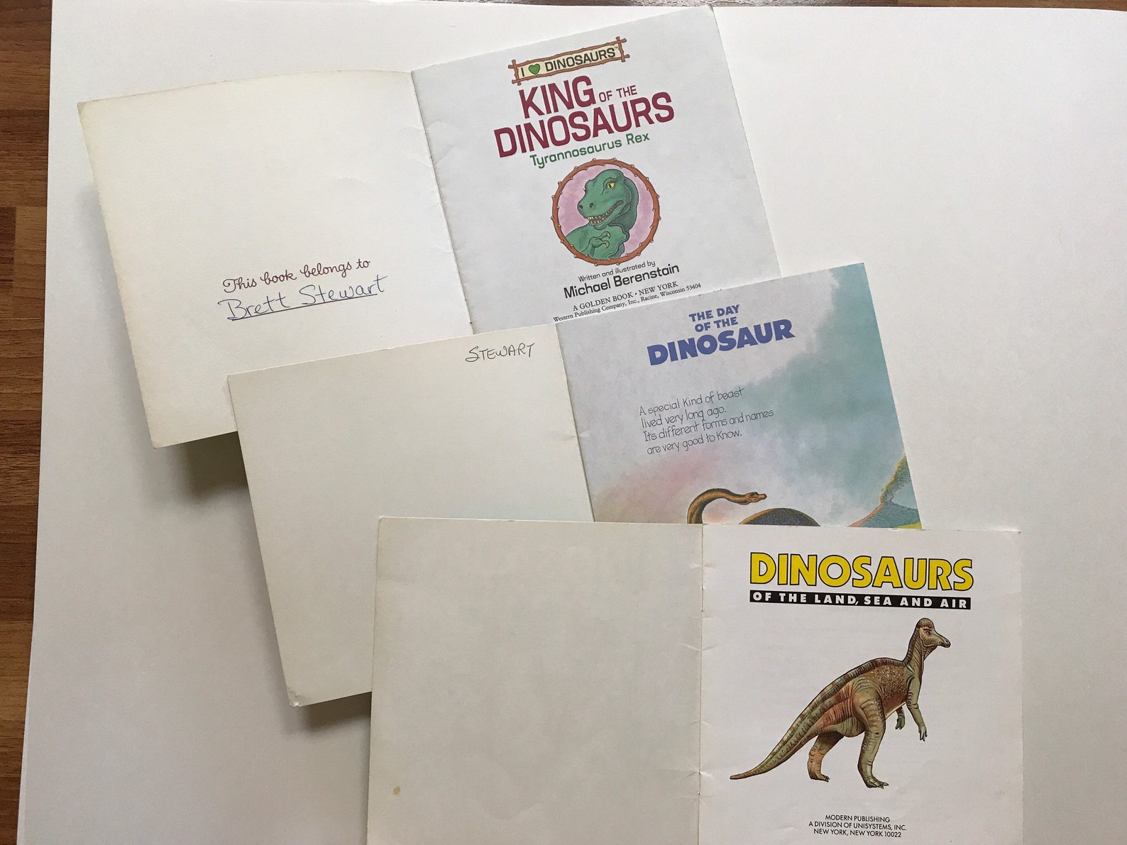 Vintage Dinosaur Books Golden Look Look Book for Kids Children Soft ...