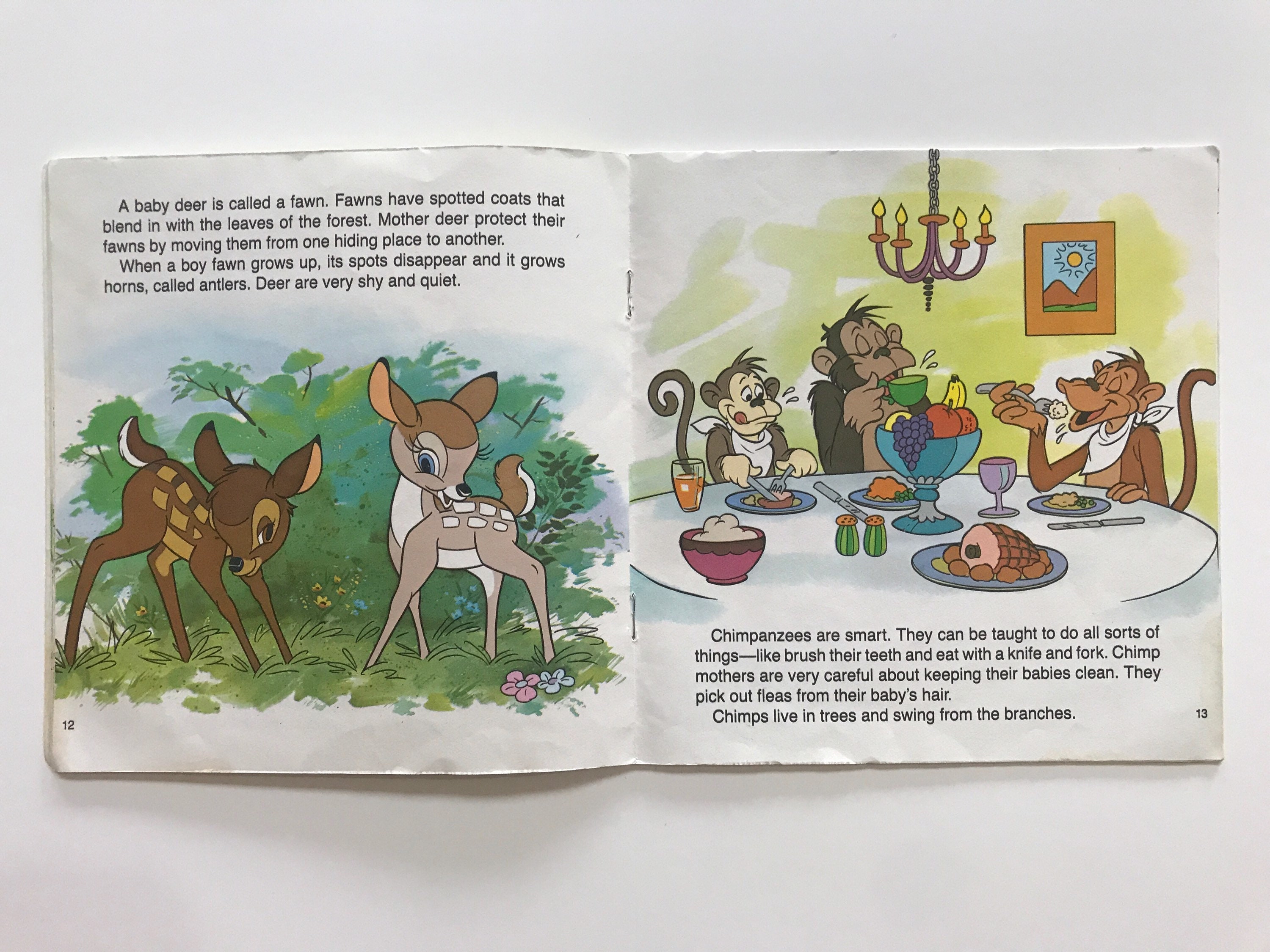 Disney Discovery Series Baby Animals Read Along Book See Hear | Etsy