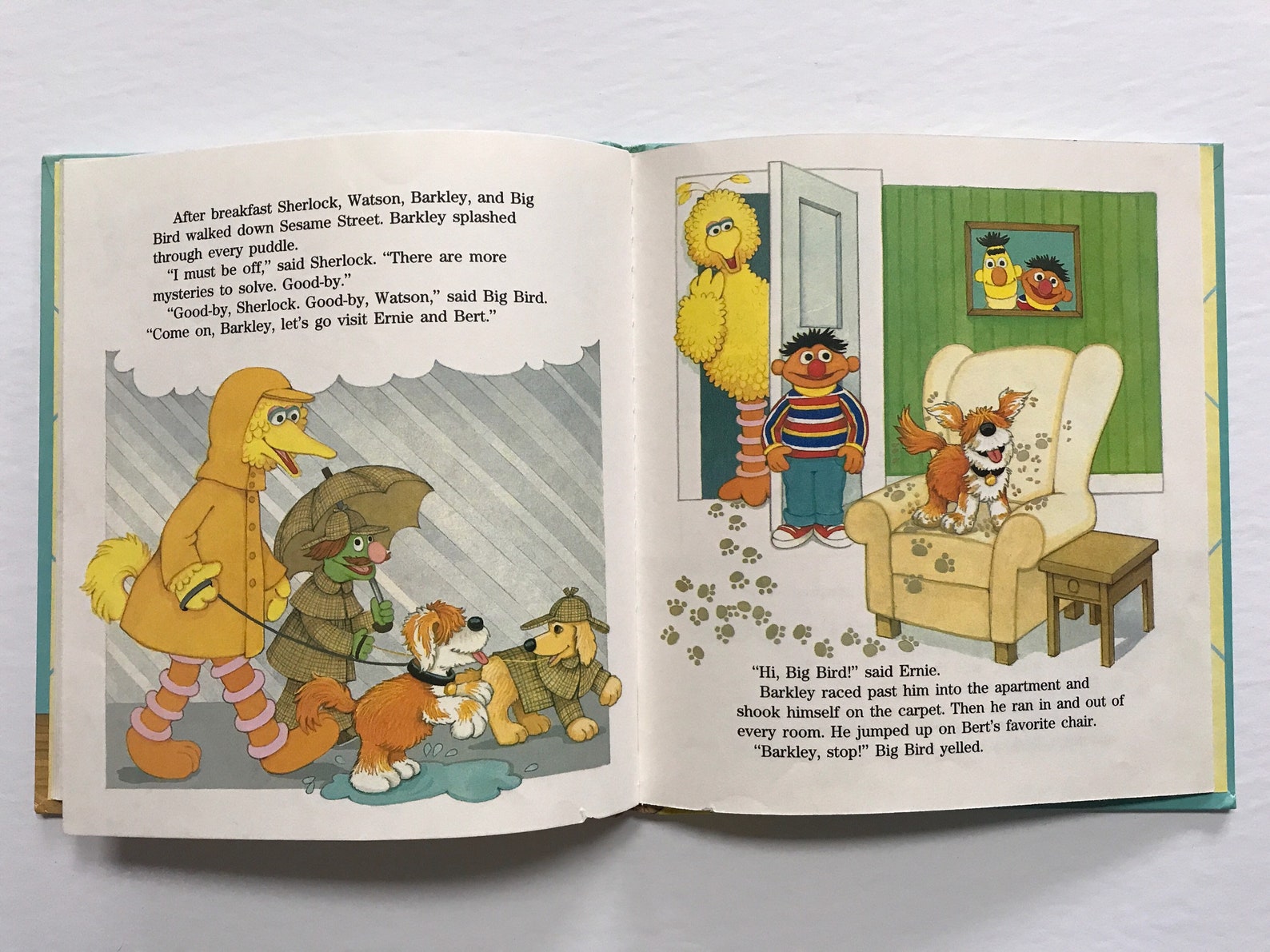 1986 A Birds Best Friend Hard Cover Story Reading Sesame - Etsy