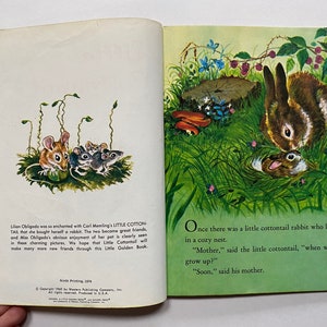Little Cottontail Golden Book 70s Kids Storybook Bedtime Story - Etsy