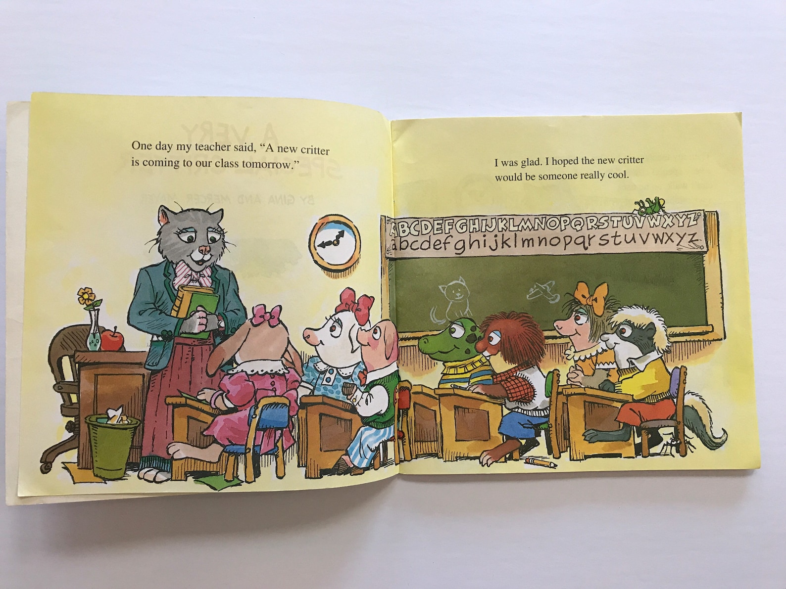 1992 Mercer Mayer Little Critters Book A Very Special Critter Golden ...