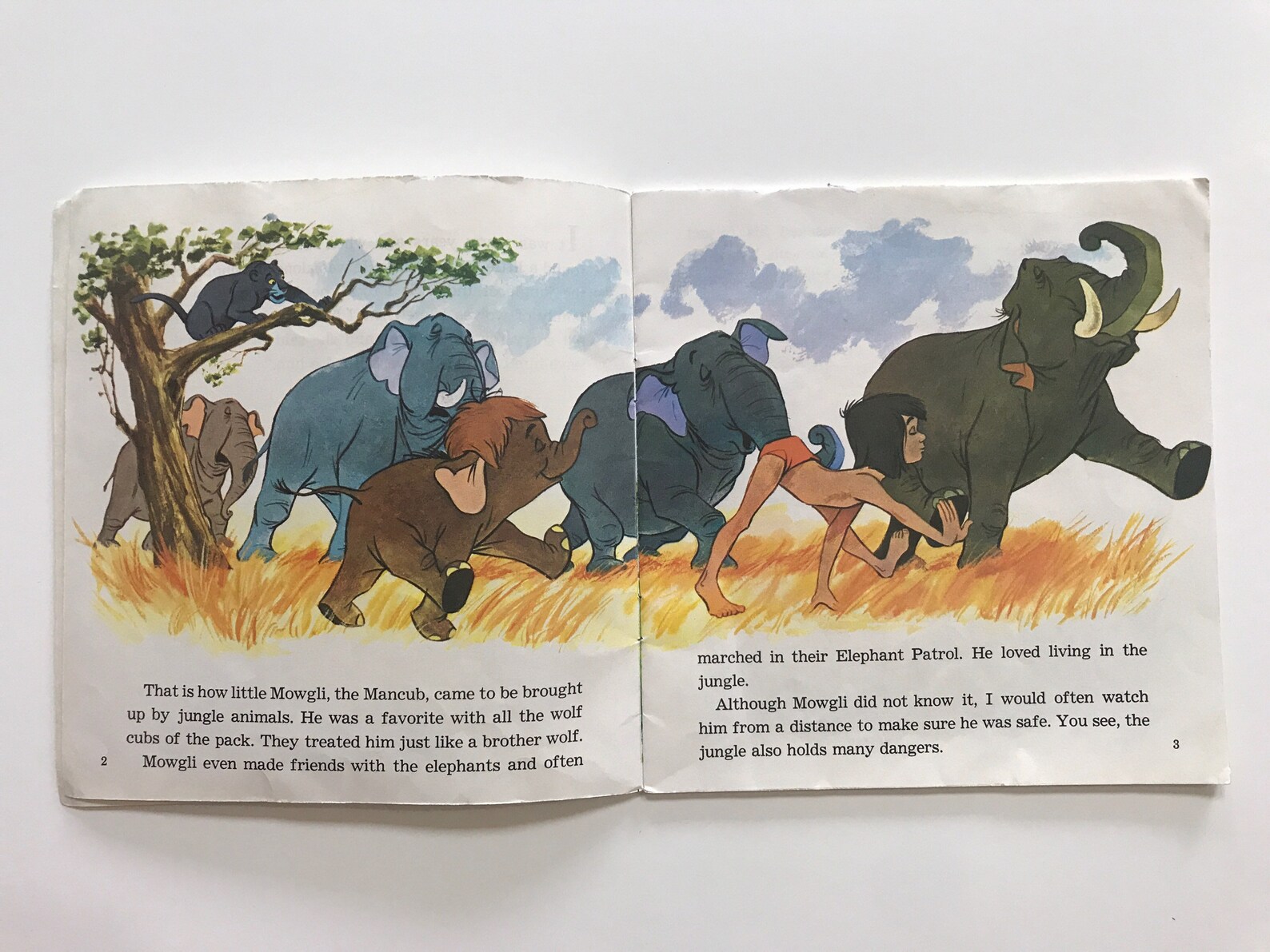 Disney the Jungle Book Read Along Book See Hear Read Kids | Etsy
