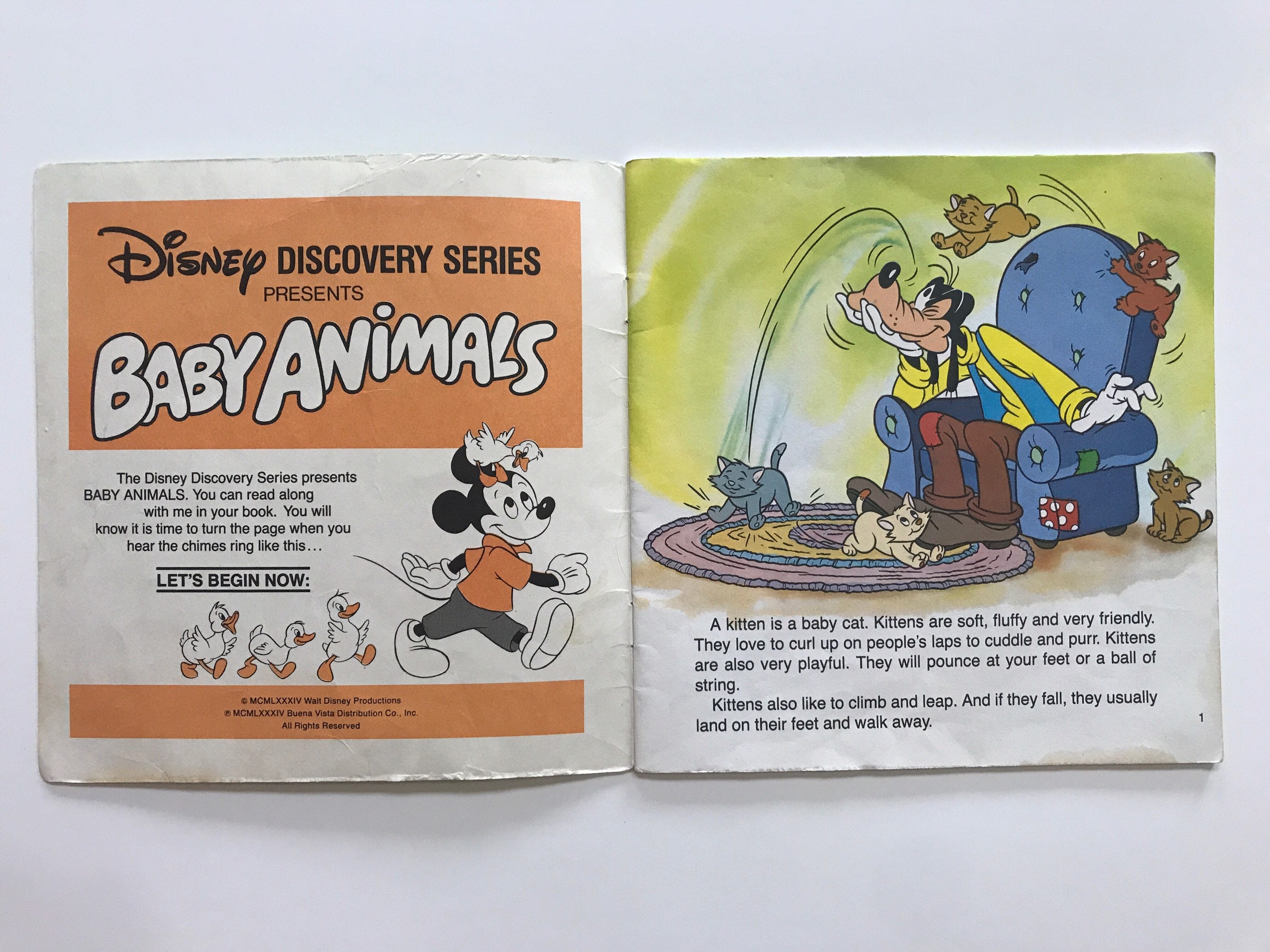 Disney Discovery Series Baby Animals Read Along Book See Hear - Etsy ...