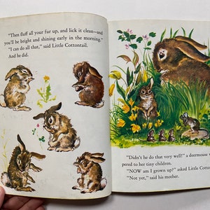 Little Cottontail Golden Book 70s Kids Storybook Bedtime Story - Etsy