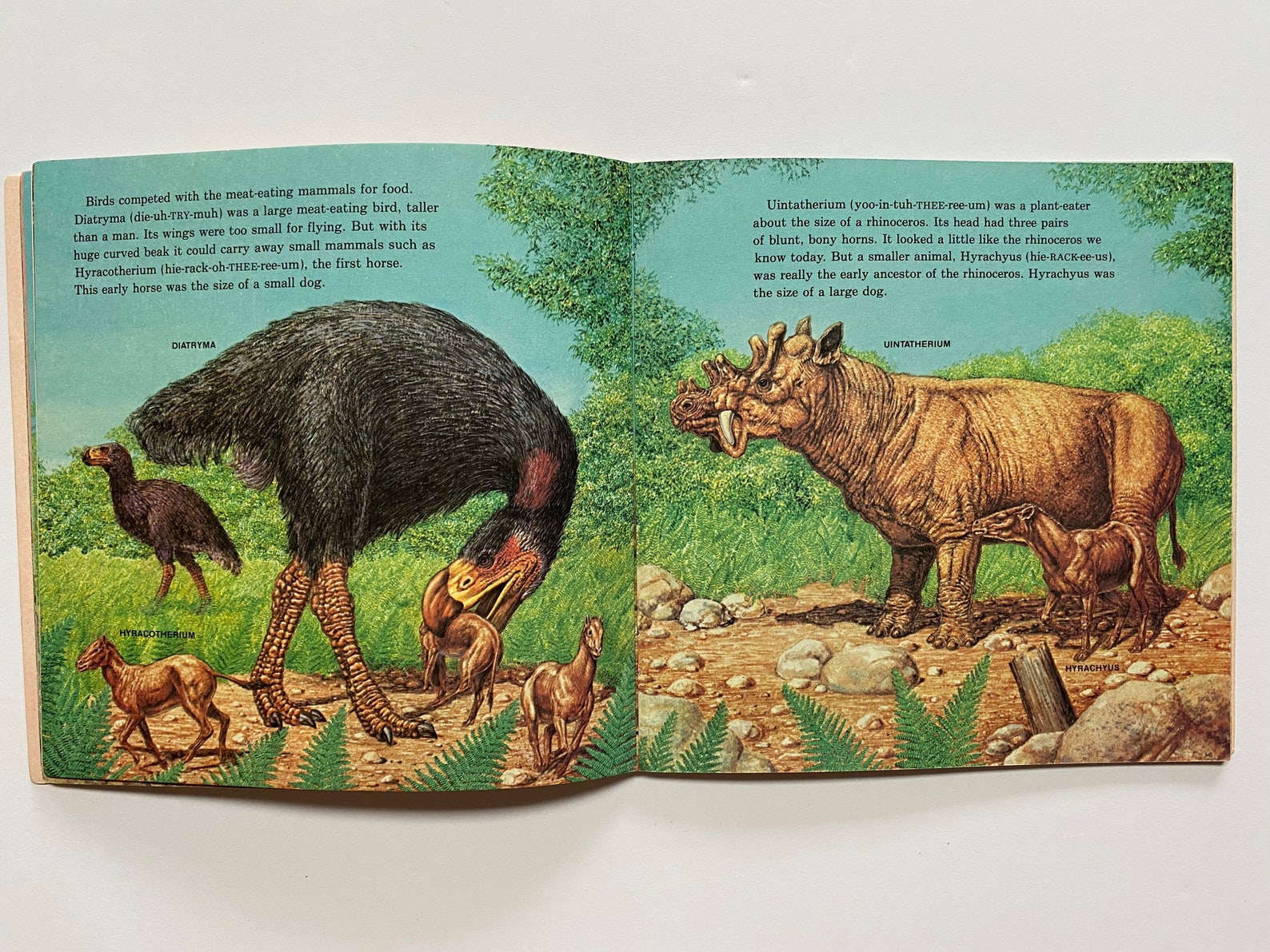 1978 Prehistoric Animals Book by Peter Zallinger - A Please Read to Me ...